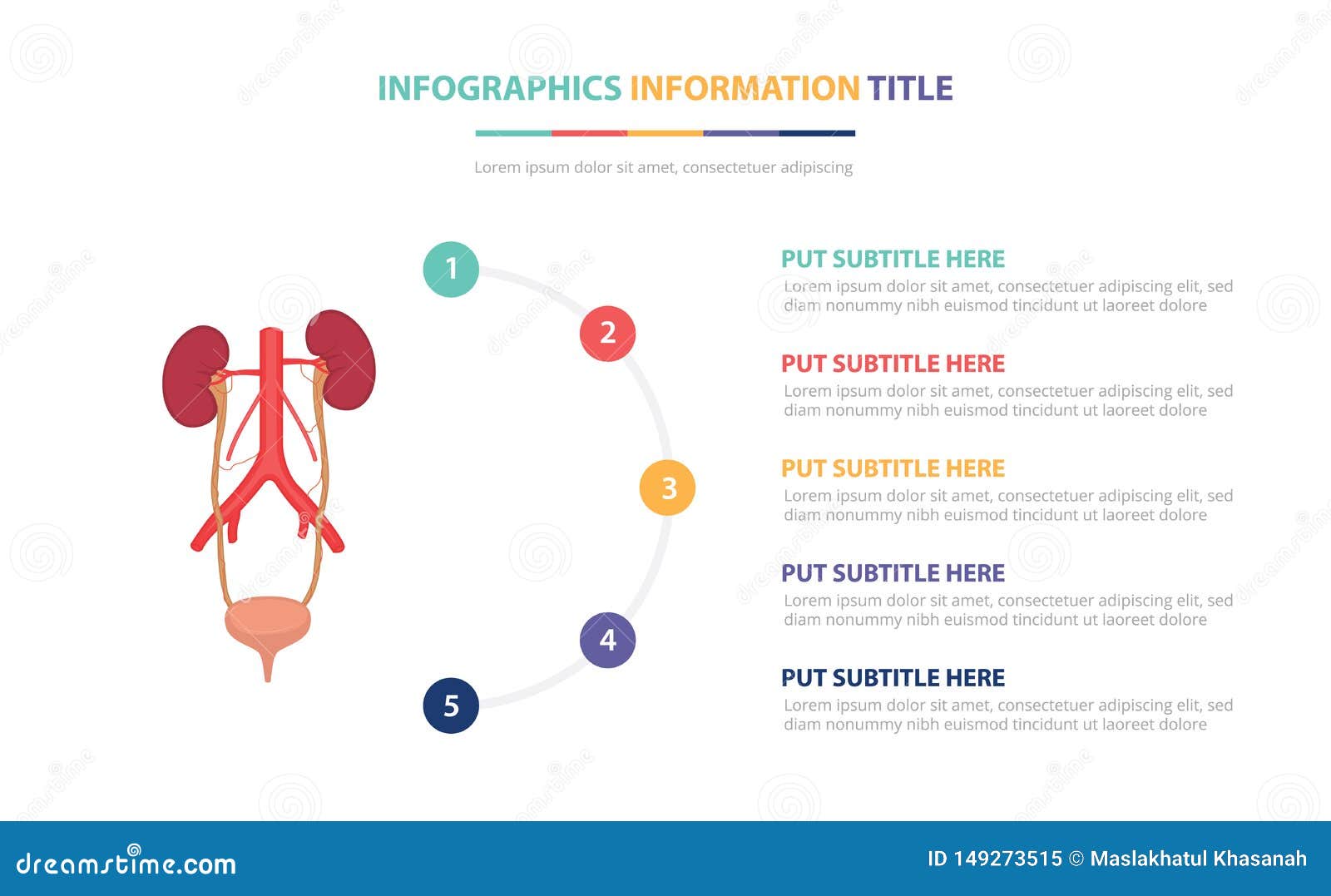 Human Ureter Icon Line In Vector, Illustration Of The Internal Organ Of ...