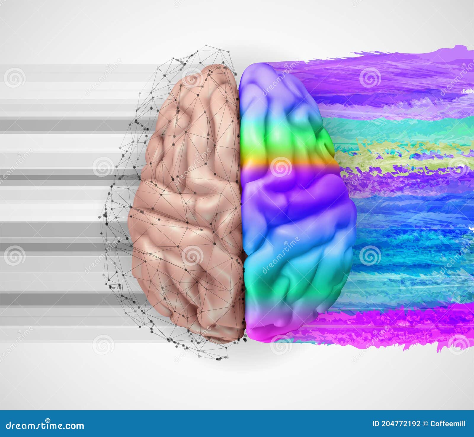 Human Vector Brain. Mesh. Logical and Creative Hemispheres. Bright ...