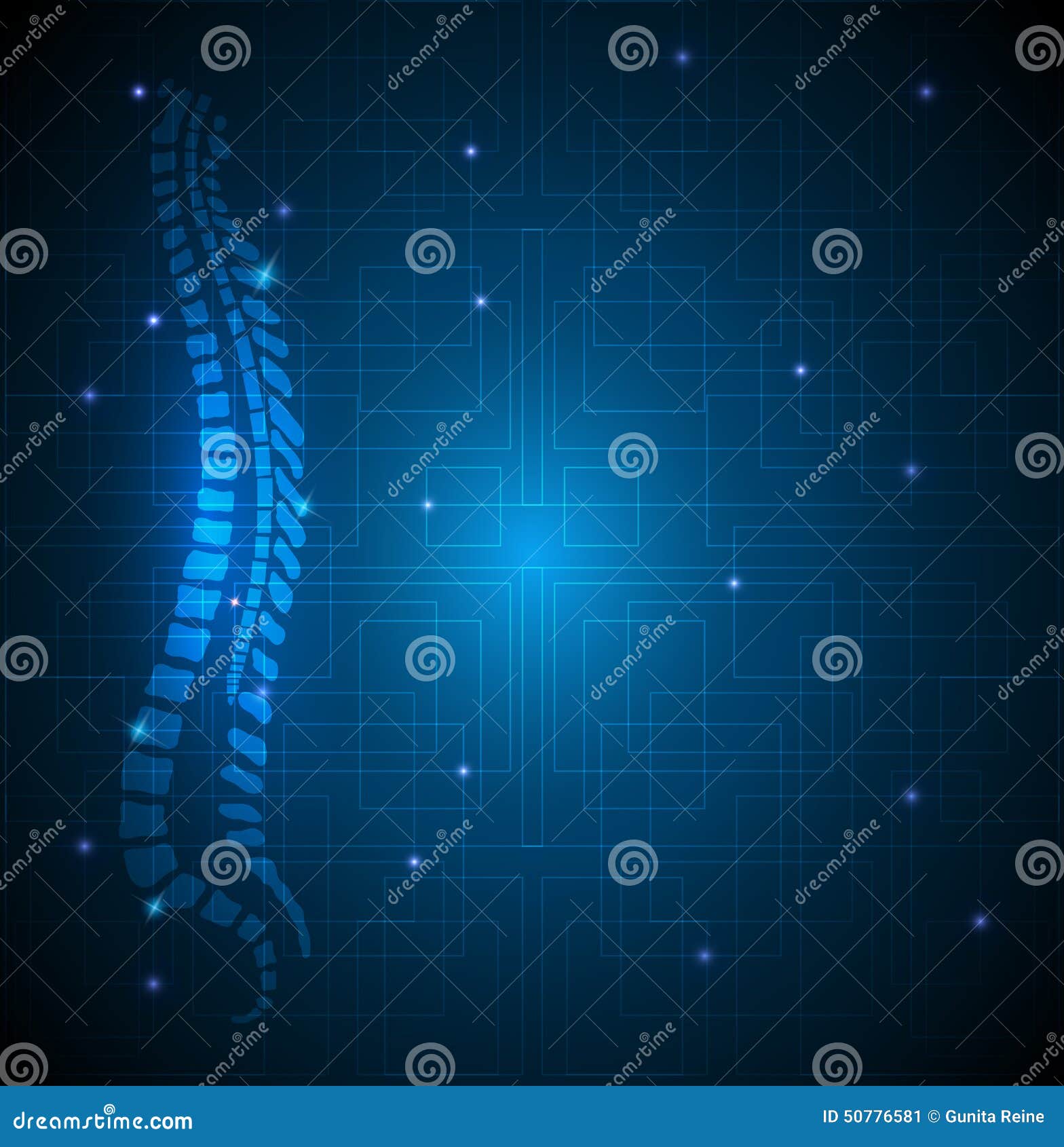 Human Vertebral Column Abstract Blue Background Stock Vector ...