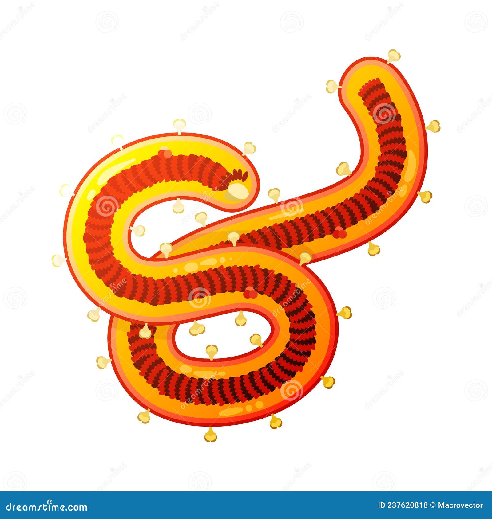 Ebola Color Virus Composition Stock Vector - Illustration of variety ...