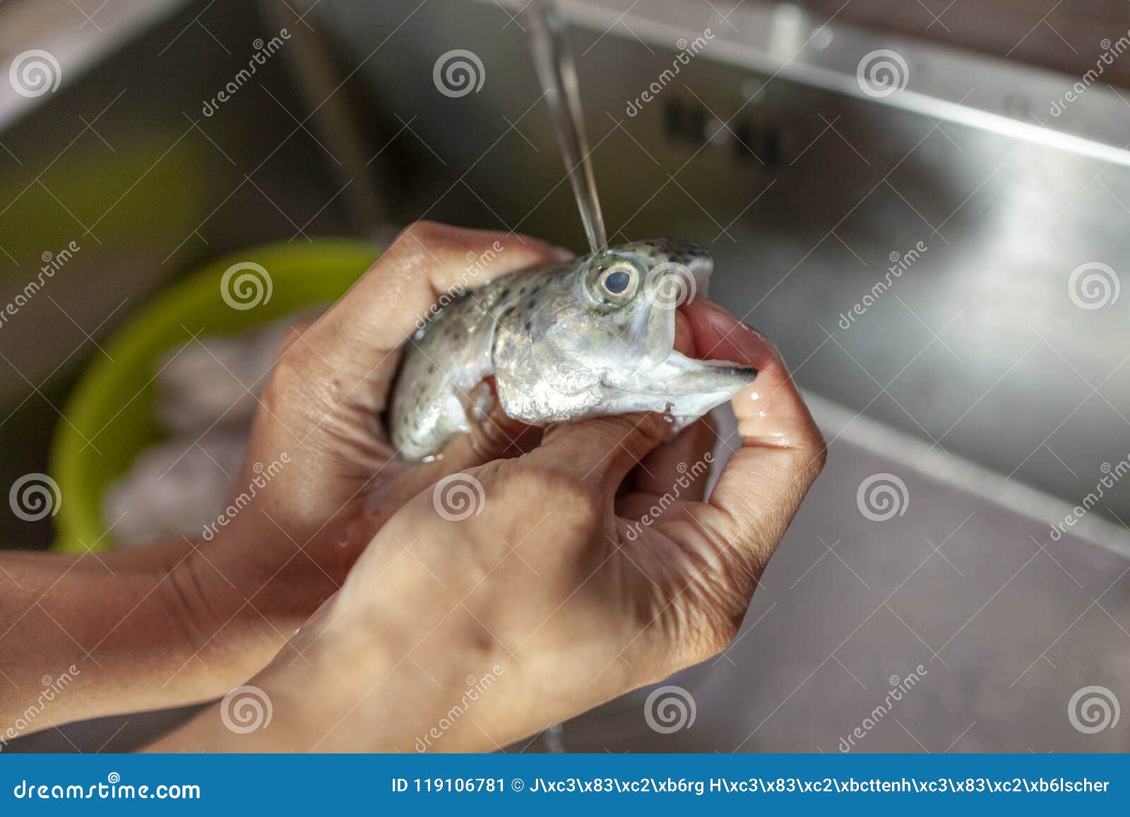 Human Washes a Fresh Fish Under Water Stock Image - Image of meal, diet ...