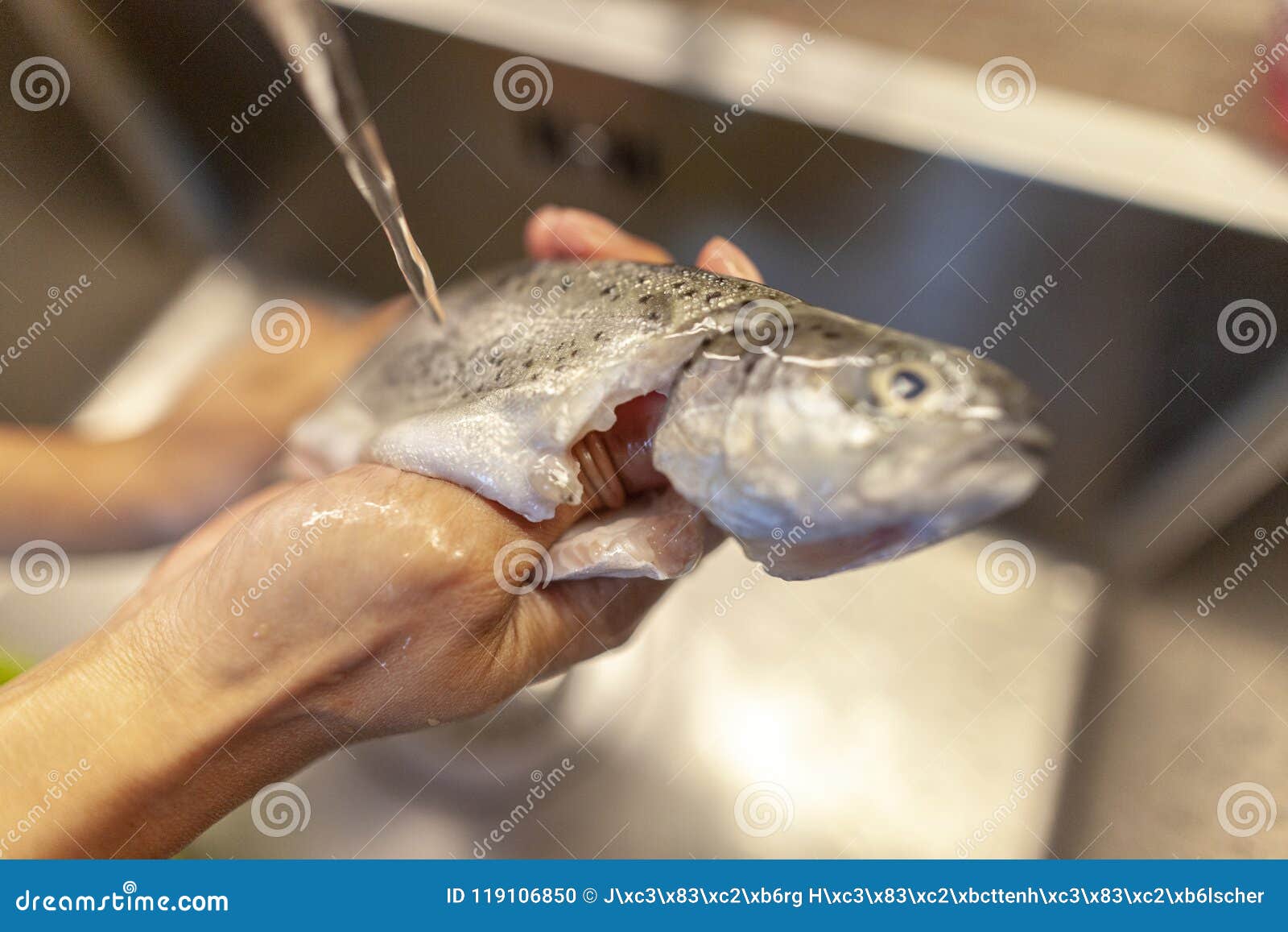 Human Washes a Fresh Fish Under Water Stock Photo - Image of eating ...