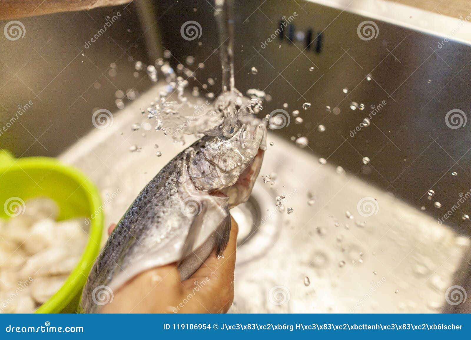 Human Washes a Fresh Fish Under Water Stock Photo - Image of dinner ...