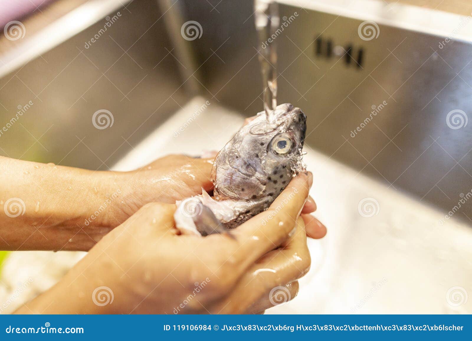 Human Washes a Fresh Fish Under Water Stock Photo - Image of cook ...