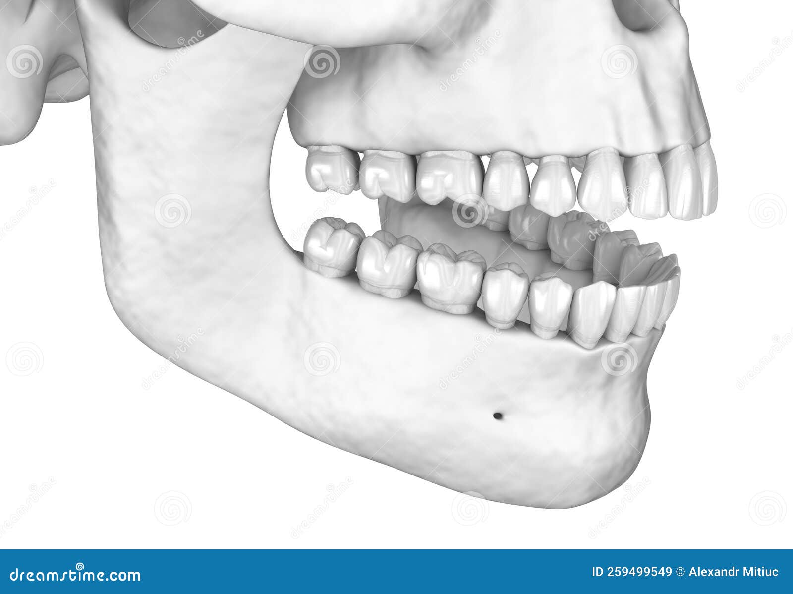 Human White Scull. 3D Illustration Stock Illustration - Illustration of ...