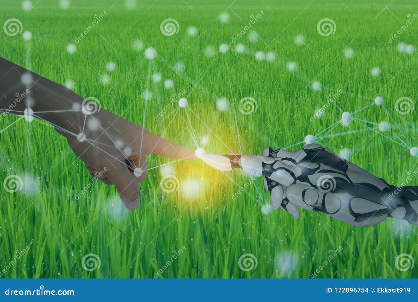 Human Work with Robots in Smart Agriculture Concept with Machine, Deep ...