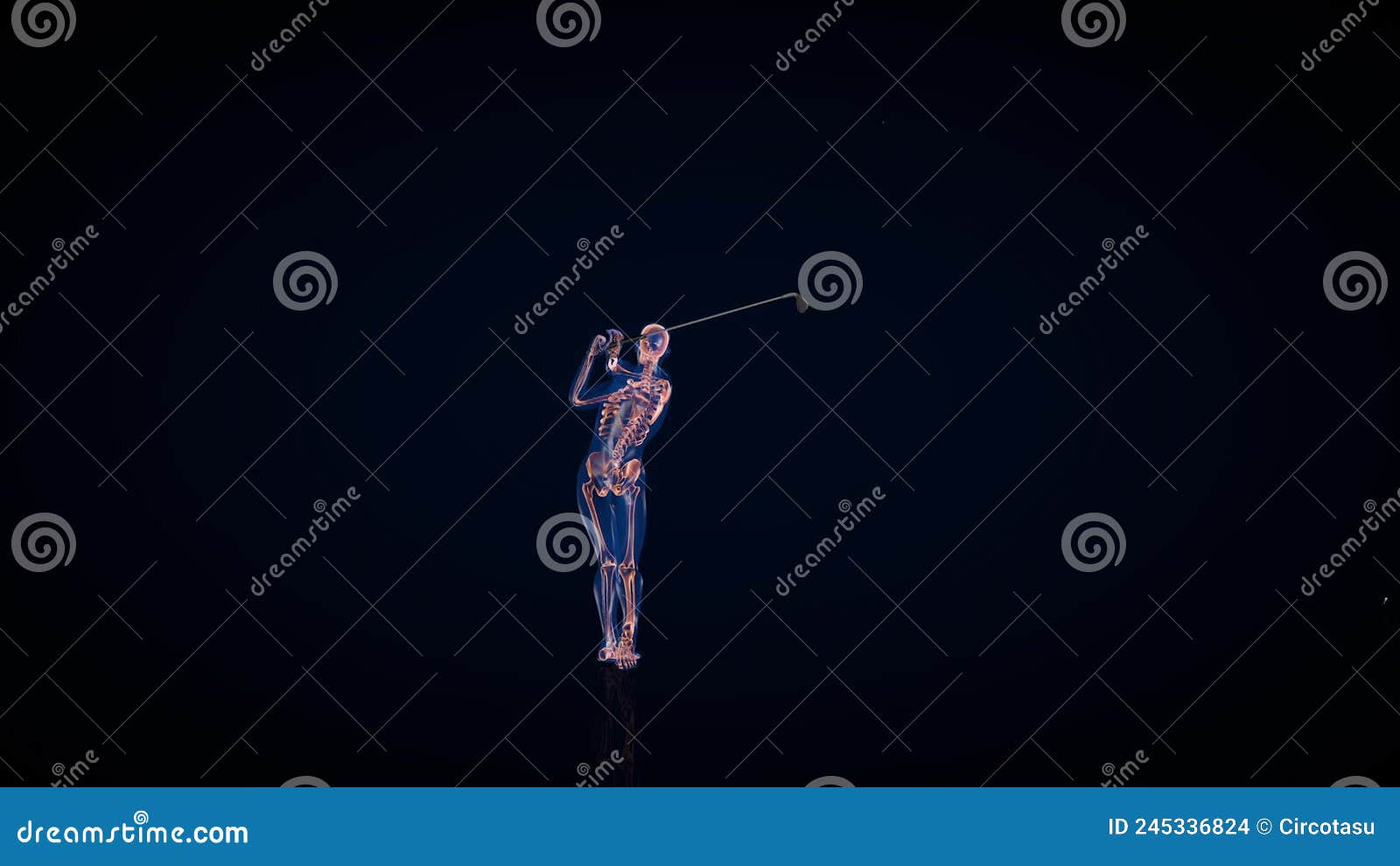 Skeleton Human Hitting Golf Club Golf Swing Golf Ball Golfer Golf ...