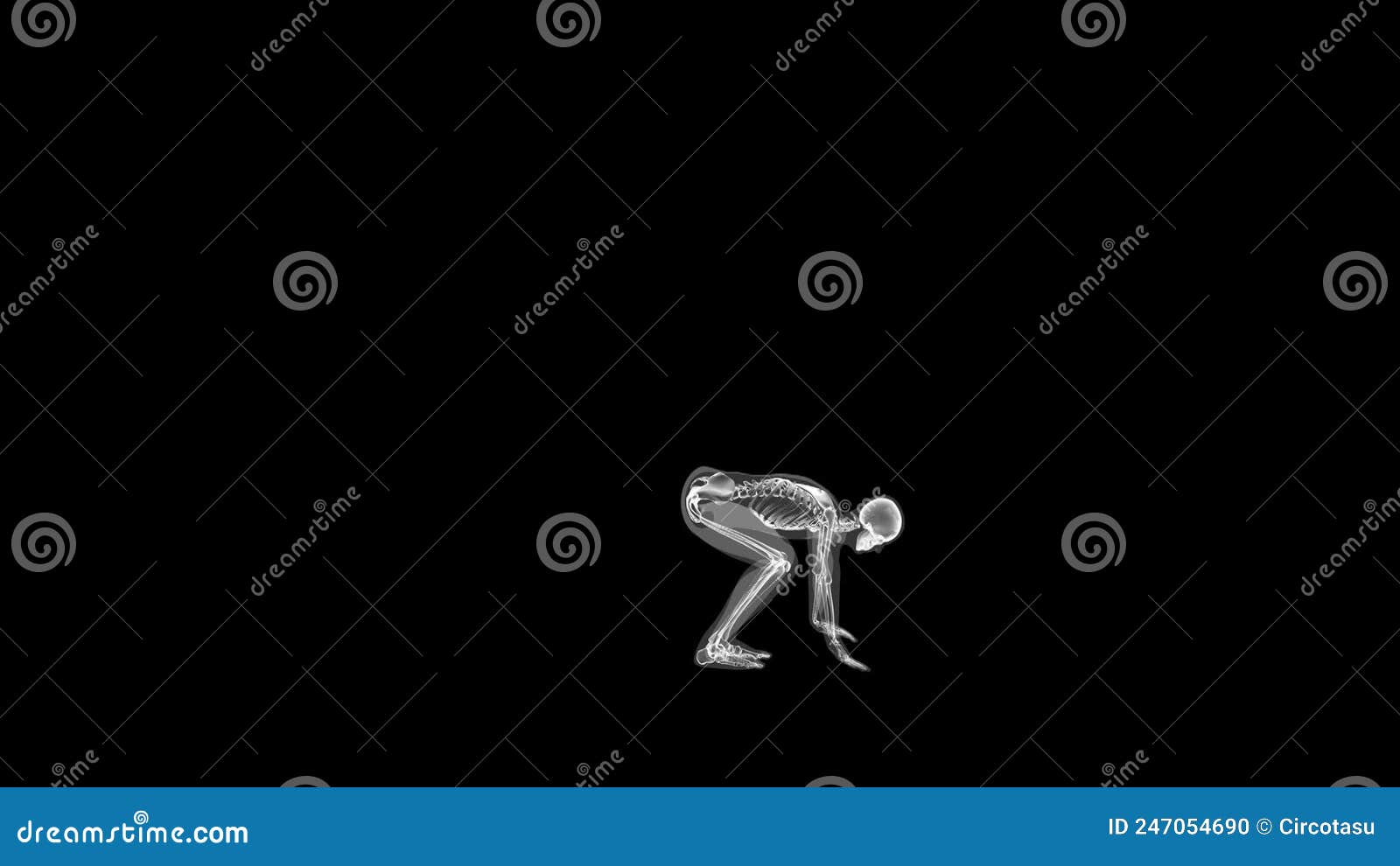 Human Xray Body and Skeleton Doing Burpees, Side View, Loop Stock ...