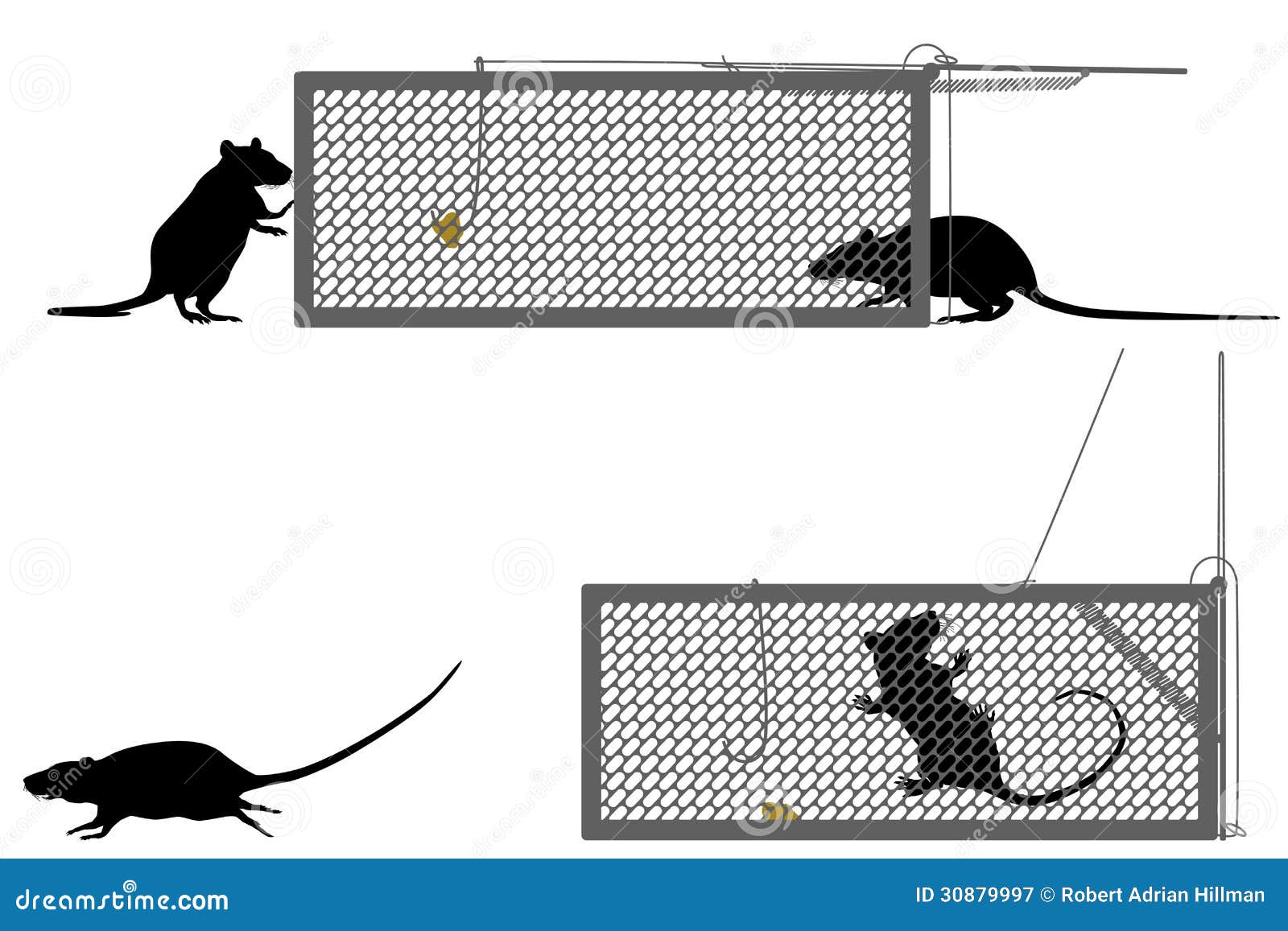 Humane rat trap stock vector. Illustration of vector - 30879997