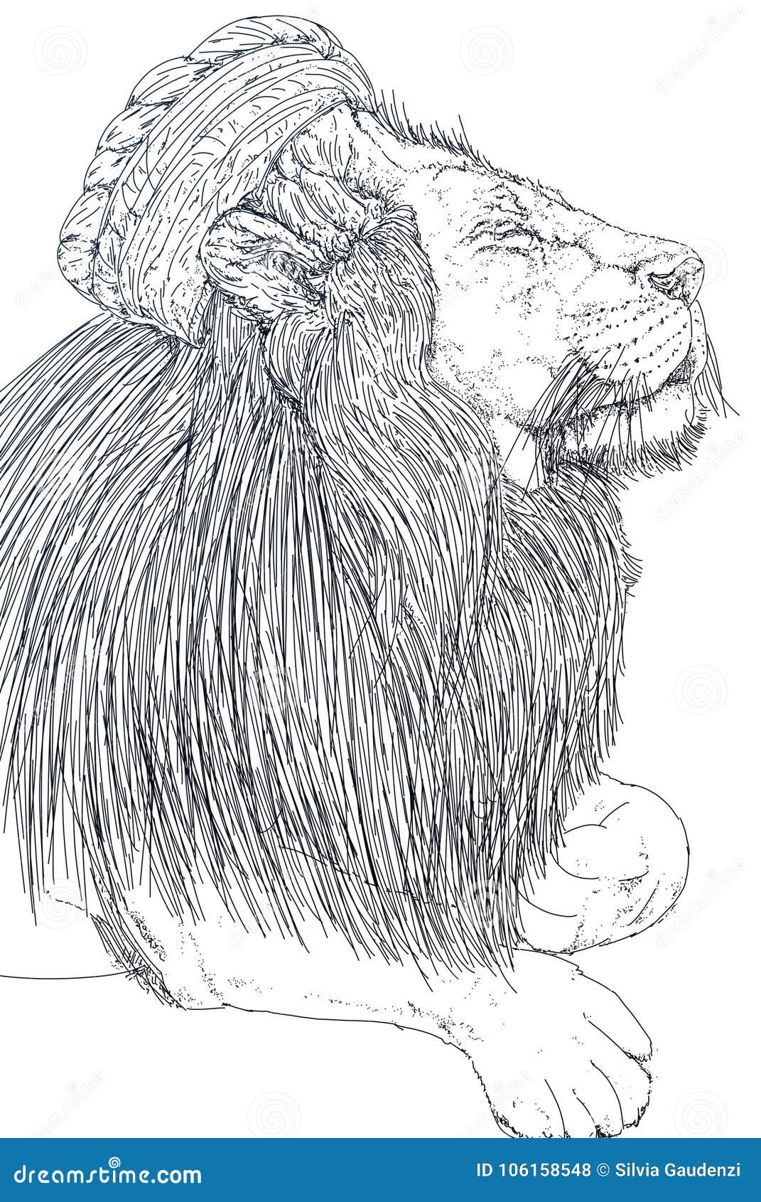 A Humanized Realistic Lion, Dressed In A Hat Royalty-Free Stock ...