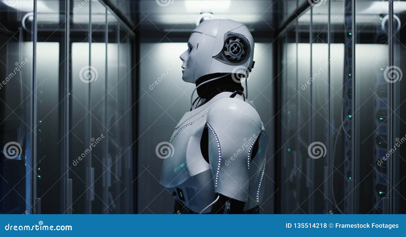 Humanoid Robot Checking Servers in a Data Center Stock Photo - Image of ...