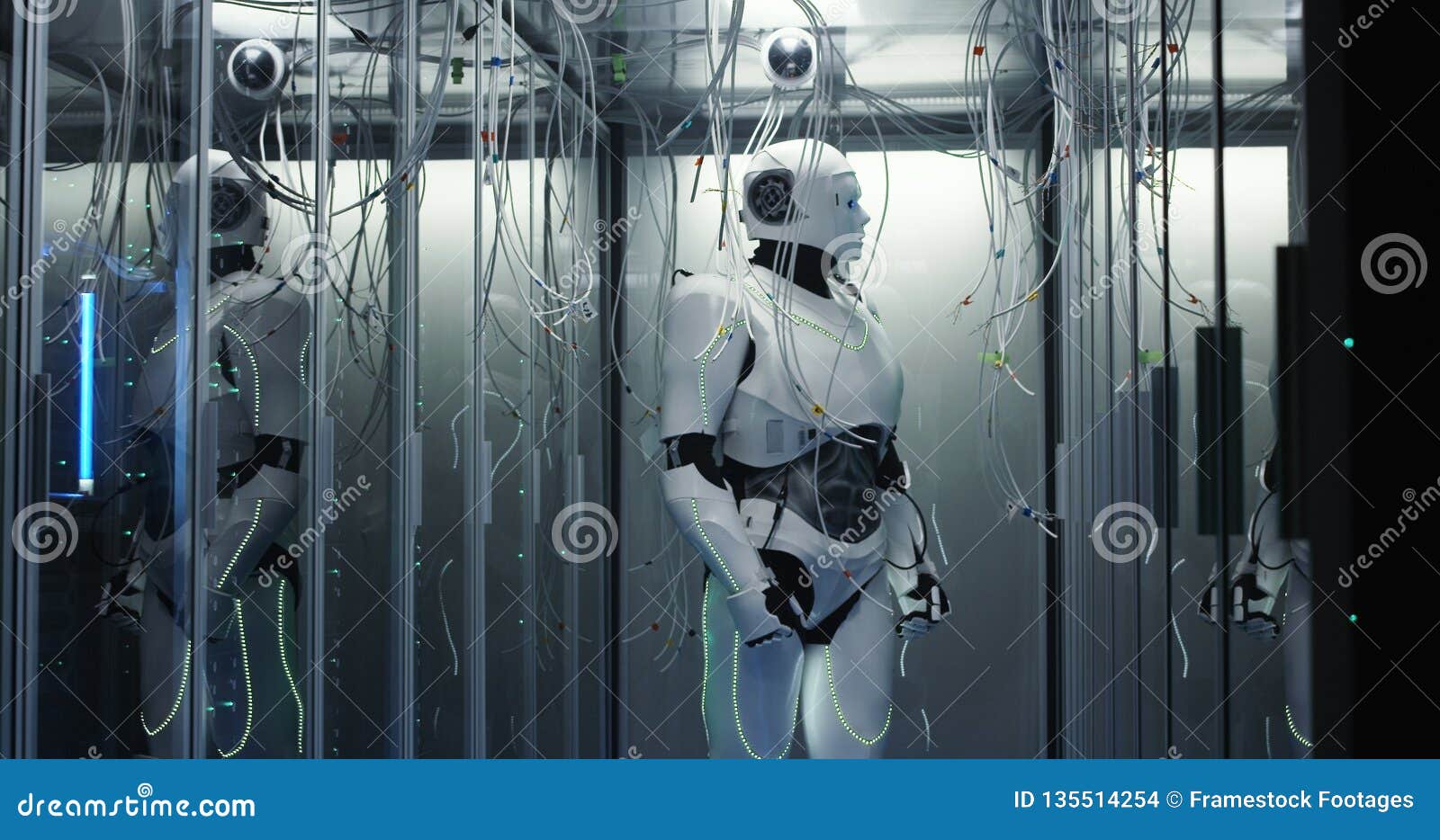 Humanoid Robot Checking Servers in a Data Center Stock Photo - Image of ...