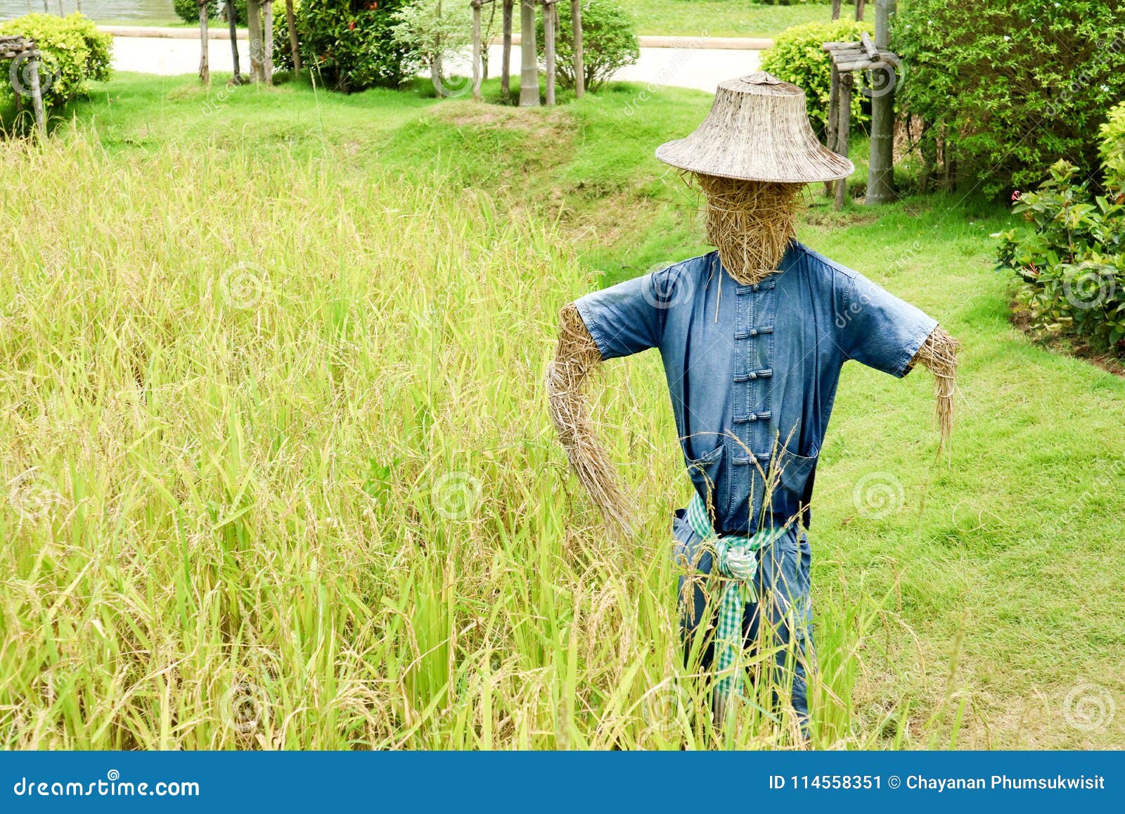 Humanoid Scarecrows are Usually Dressed in Old Clothes and Place Stock ...