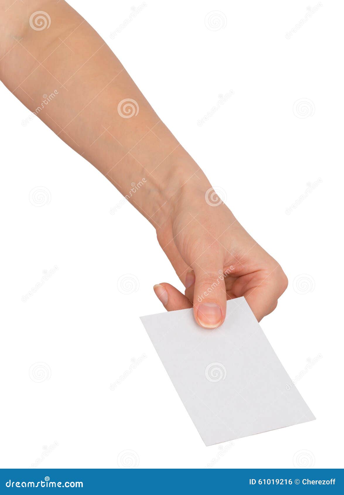 Humans Left Hand Offering Blank Card Stock Photo - Image of white ...