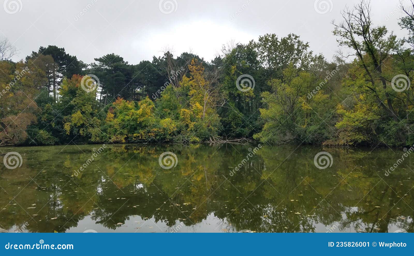 Humber River in Fall Season Stock Image - Image of natural, spring ...