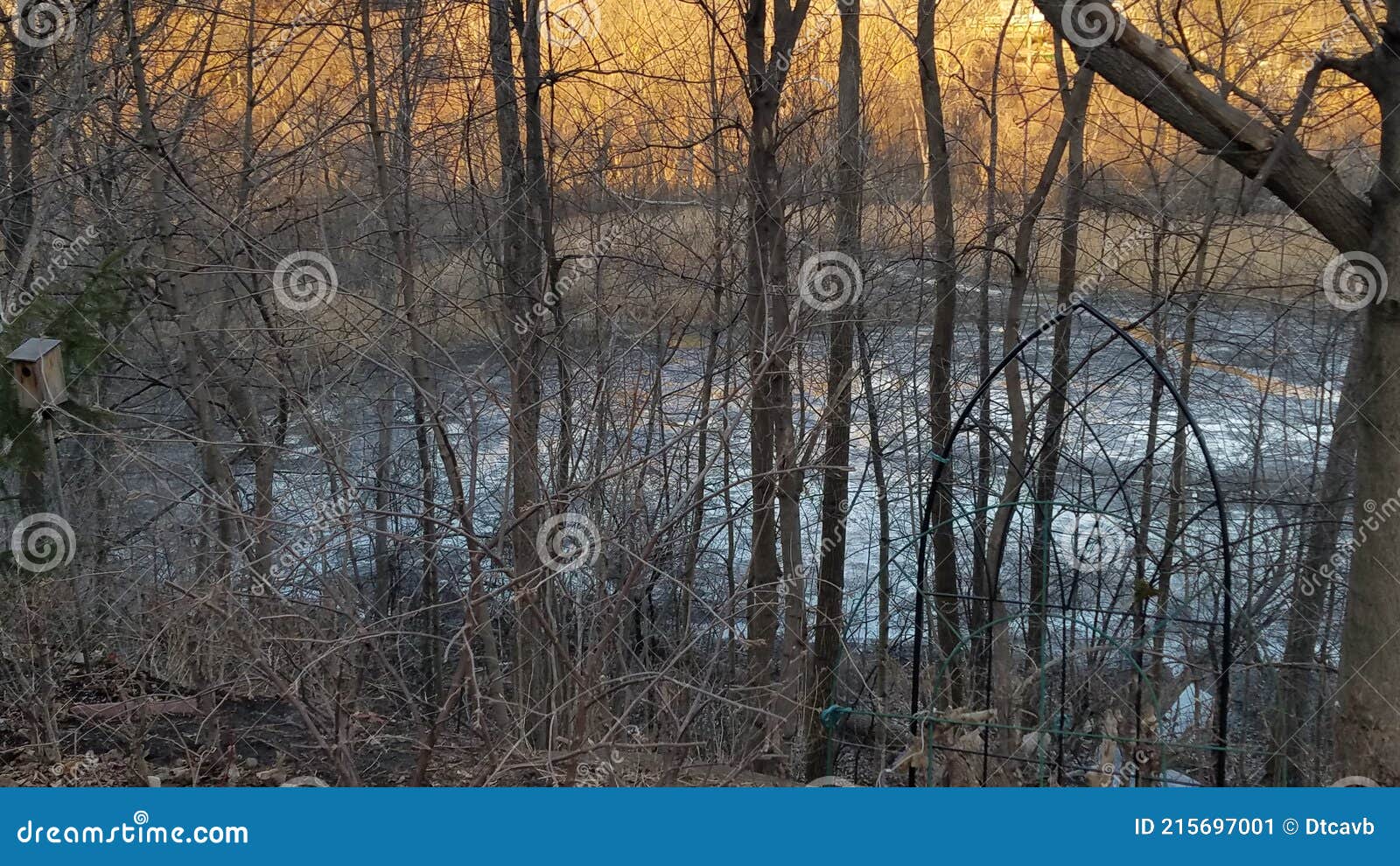 Humber River View in Toronto Stock Image - Image of string, jpdworld ...