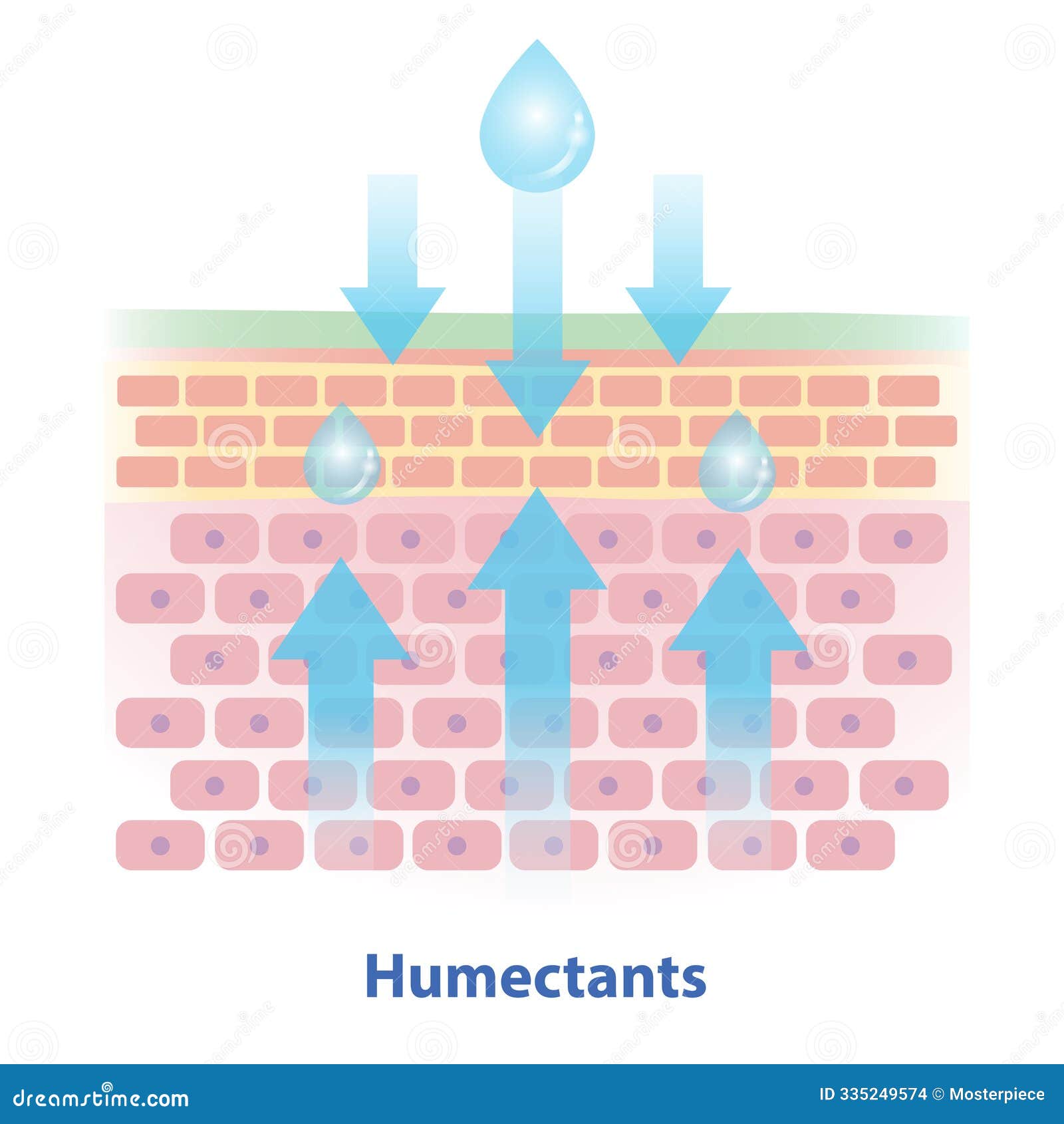 Humectants Cartoons, Illustrations & Vector Stock Images - 41 Pictures ...