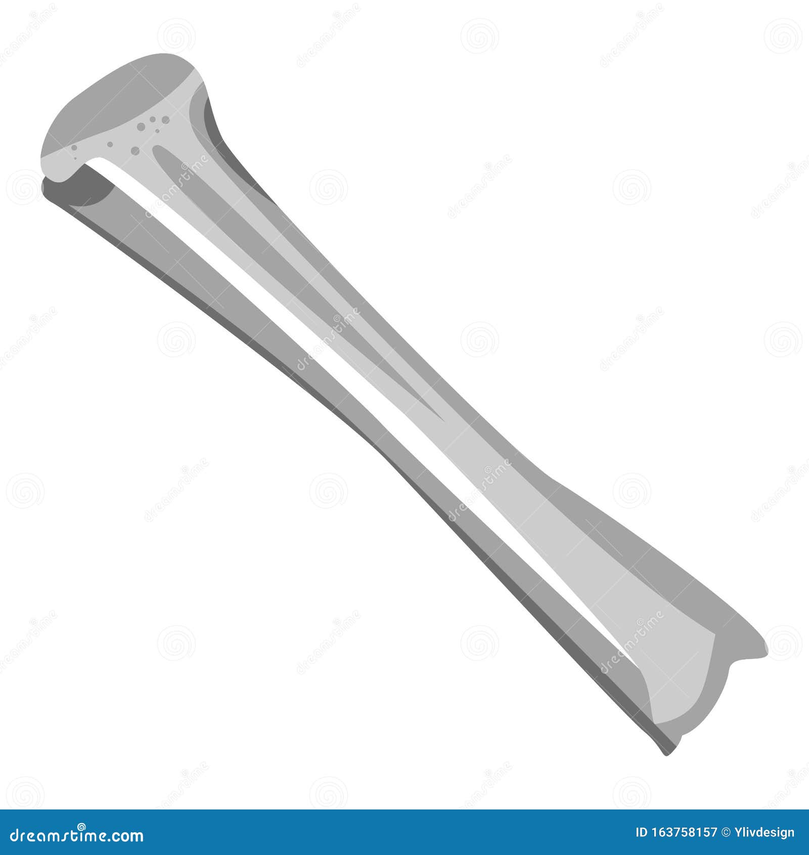 Humerus Icon, Isometric Style Cartoon Vector | CartoonDealer.com #163758157