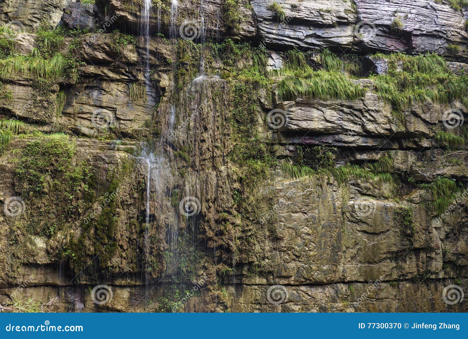 Humid cliff stock photo. Image of water, fall, moist - 77300370