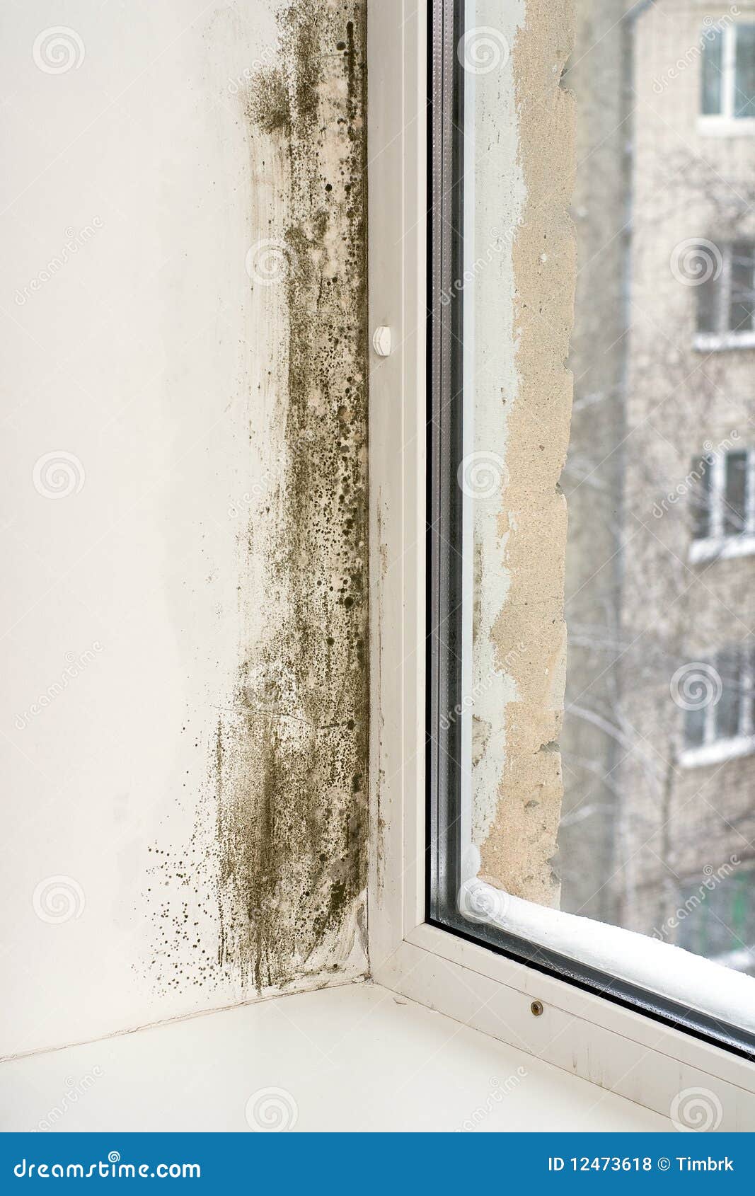 The Damp Is Attacking The Wall. Mold On Window. House Window With Damp ...