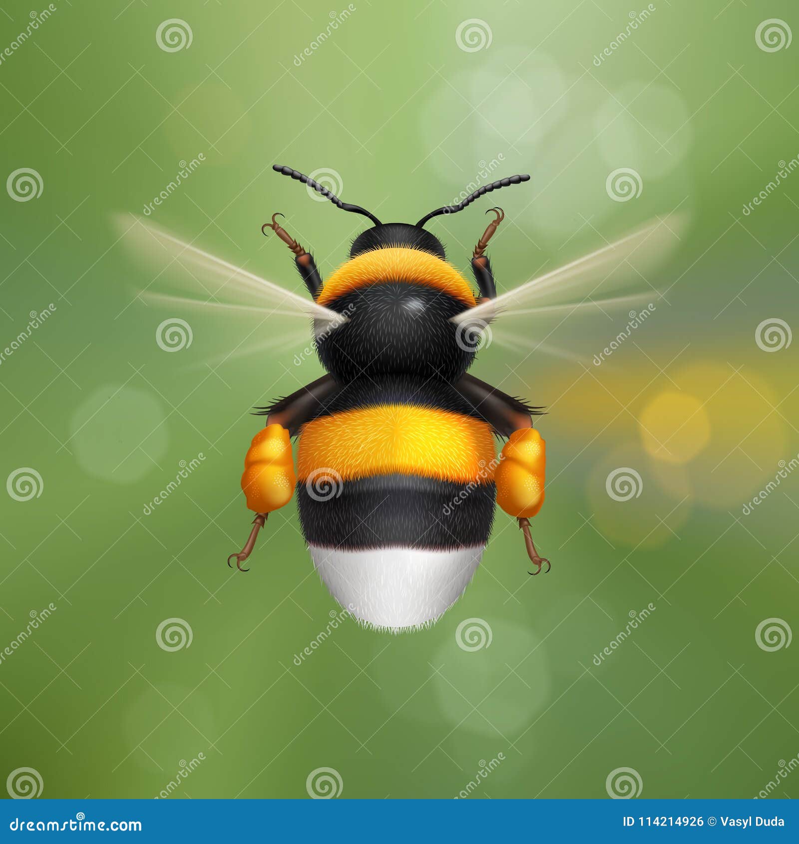 Humla vektor illustrationer. Illustration av angus, natur - 114214926