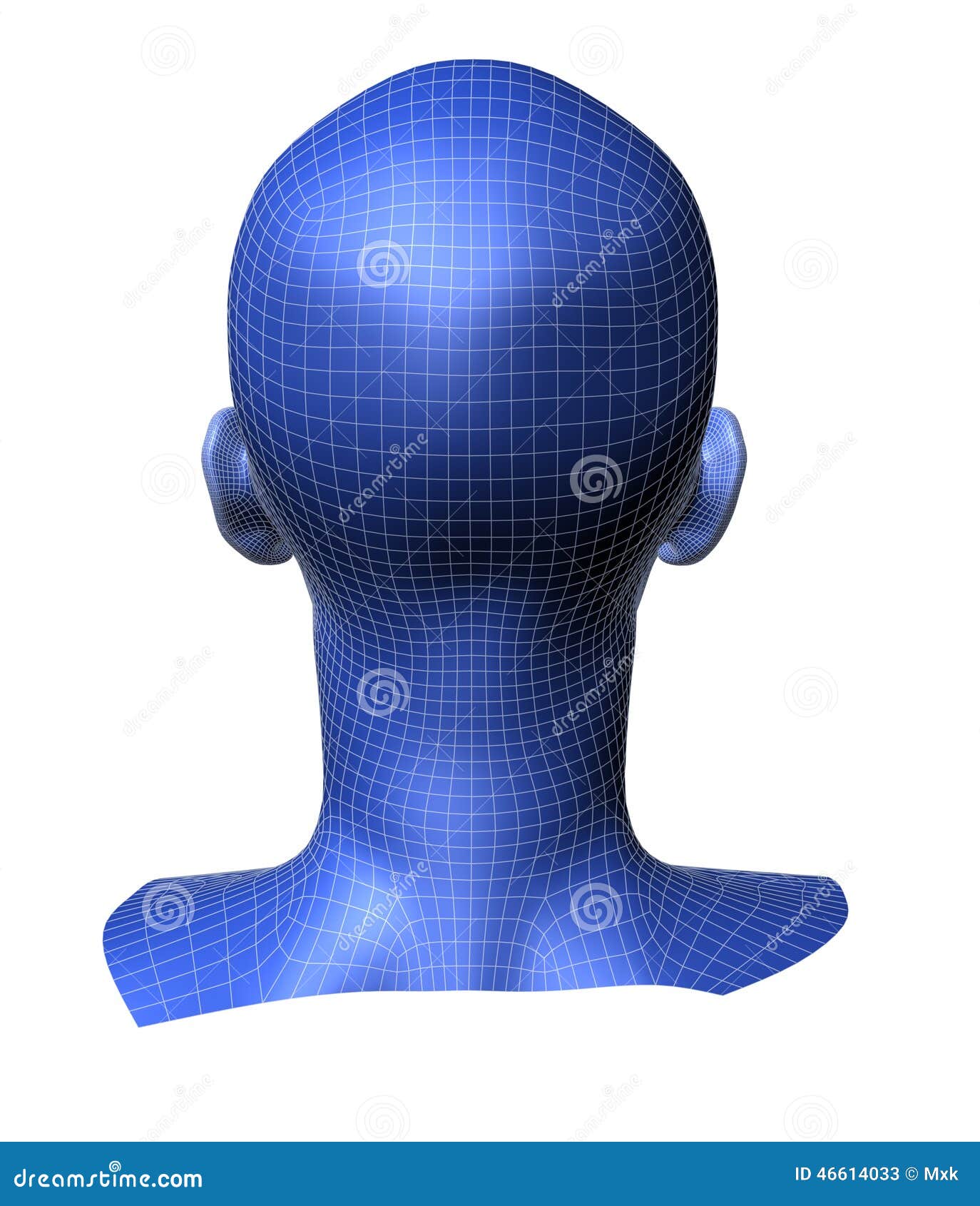 Humman model stock illustration. Illustration of smooth - 46614033