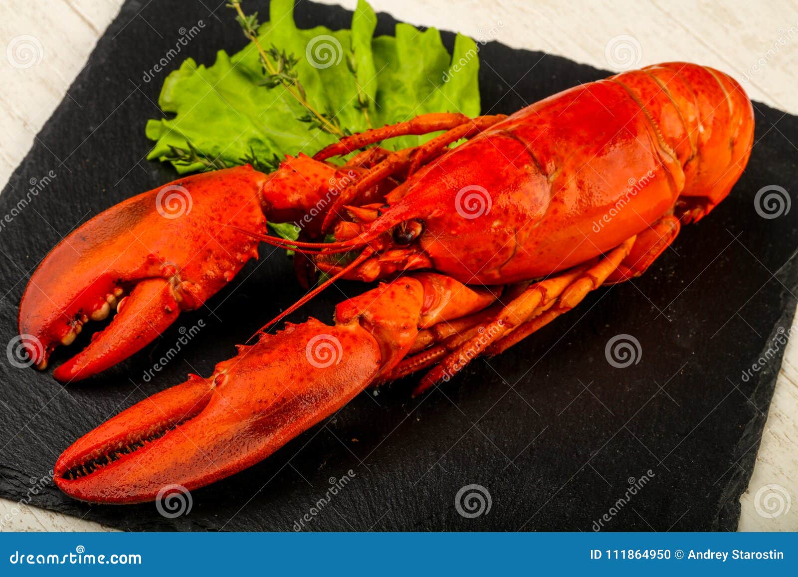 Hummer arkivfoto. Bild av fisk, rött, matning, äta, ingrediens - 111864950