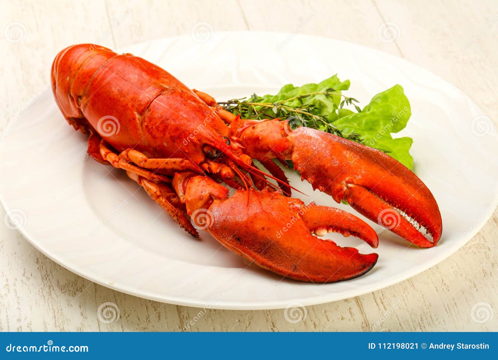 Hummer stockbild. Bild von feinschmecker, greifer, küche - 112198021