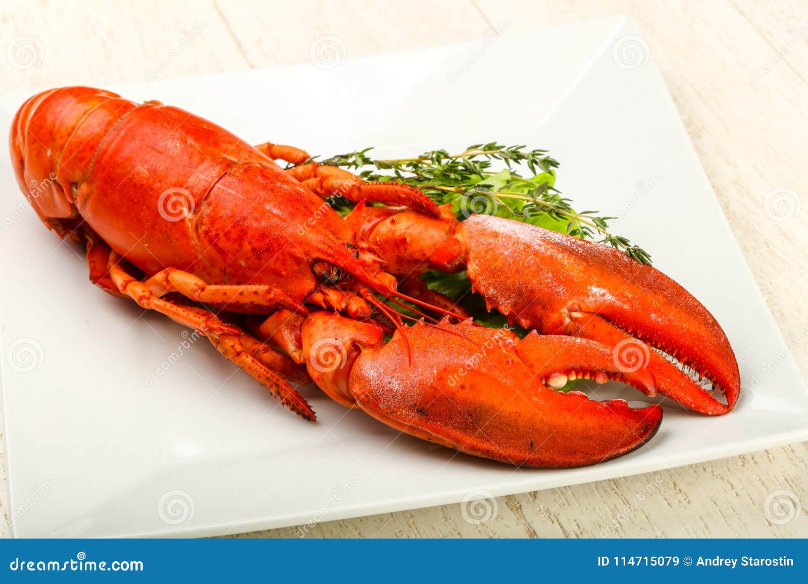 Hummer stockbild. Bild von kostspielig, mahlzeit, bestandteil - 114715079