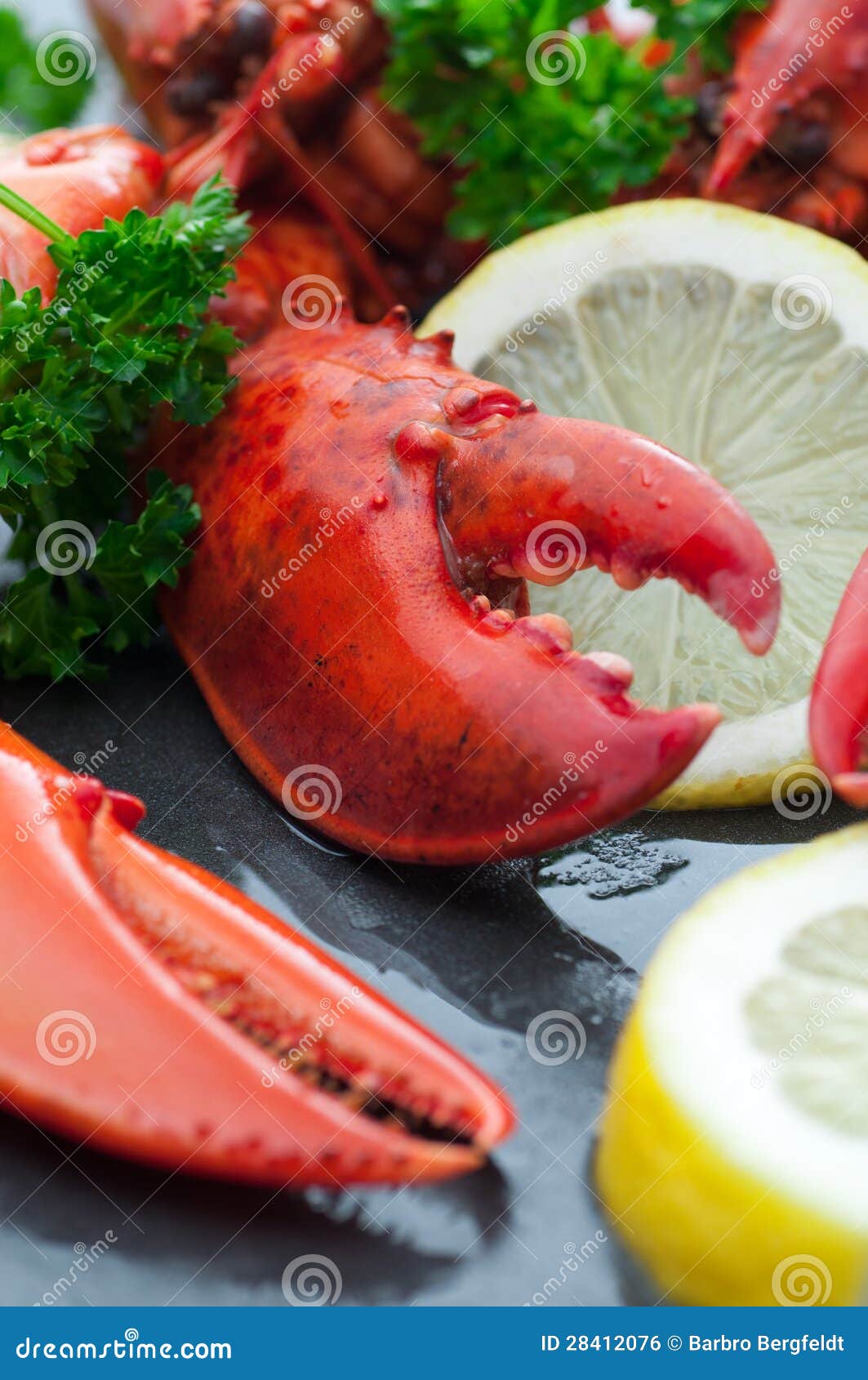 Hummer arkivfoto. Bild av stänga, citron, förberett, gourmet - 28412076