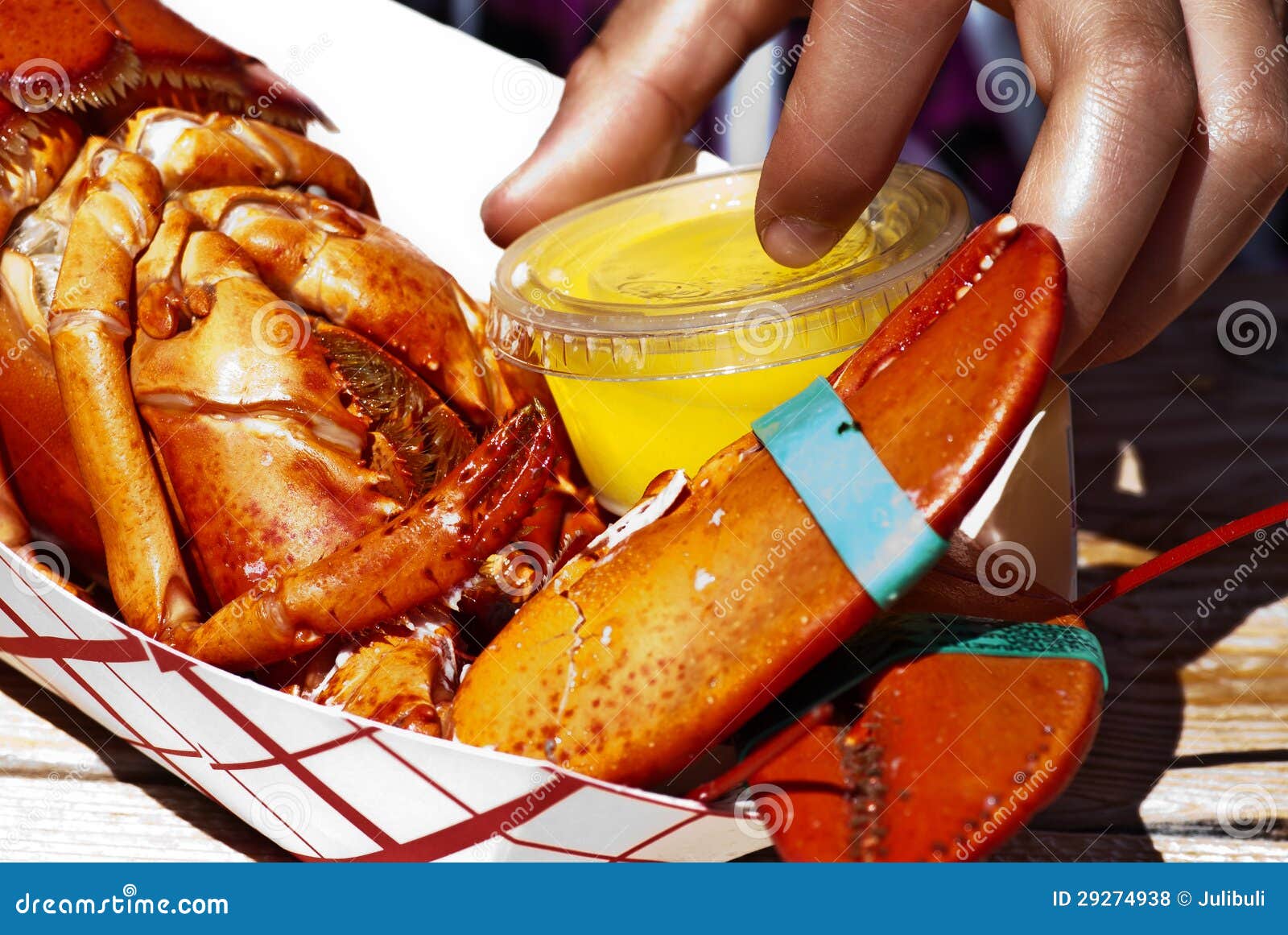 Hummer stockfoto. Bild von geschmolzen, küche, meeresfrüchte - 29274938