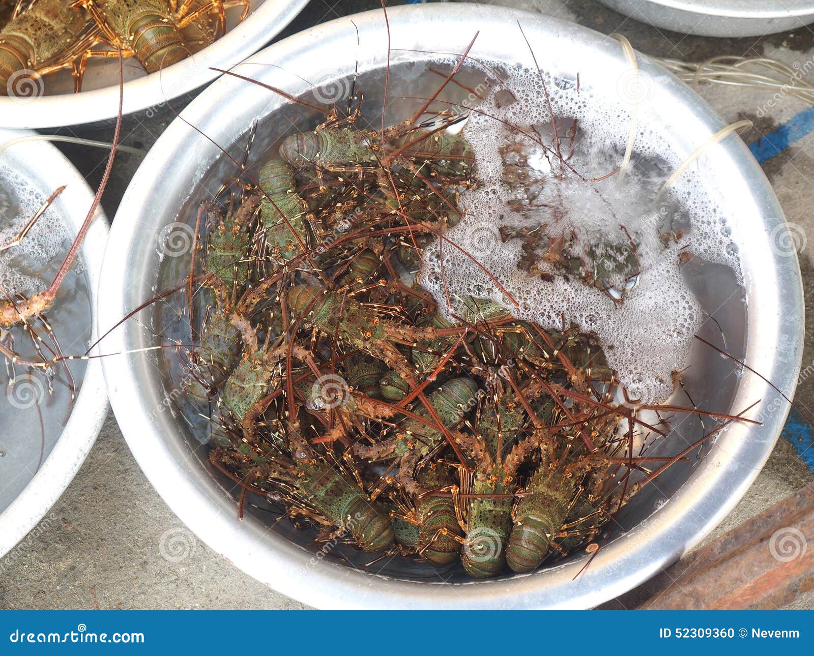 Hummer arkivfoto. Bild av kund, skaldjur, räka, kulturellt - 52309360