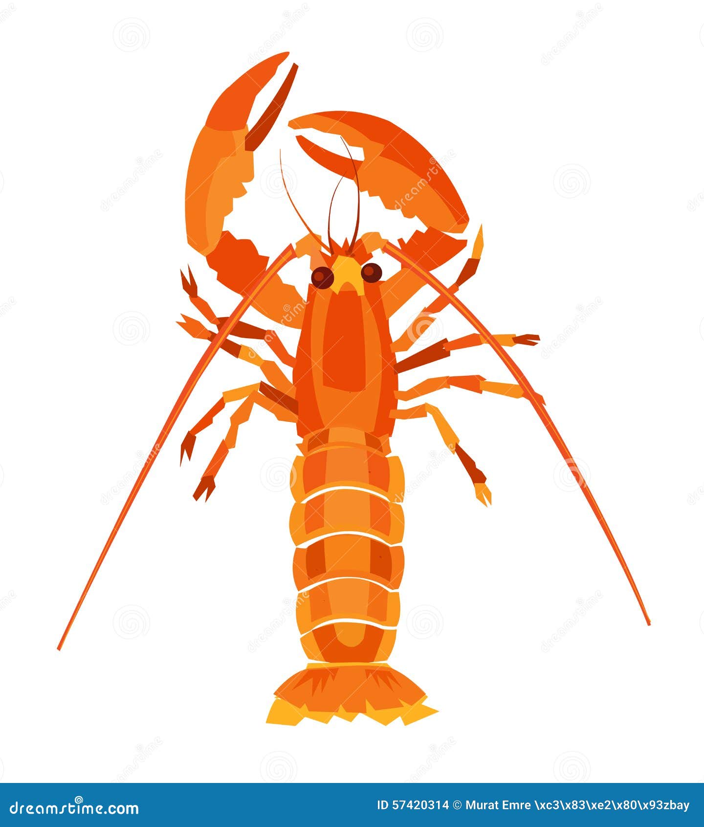 Hummer vektor abbildung. Illustration von tiere, nave - 57420314