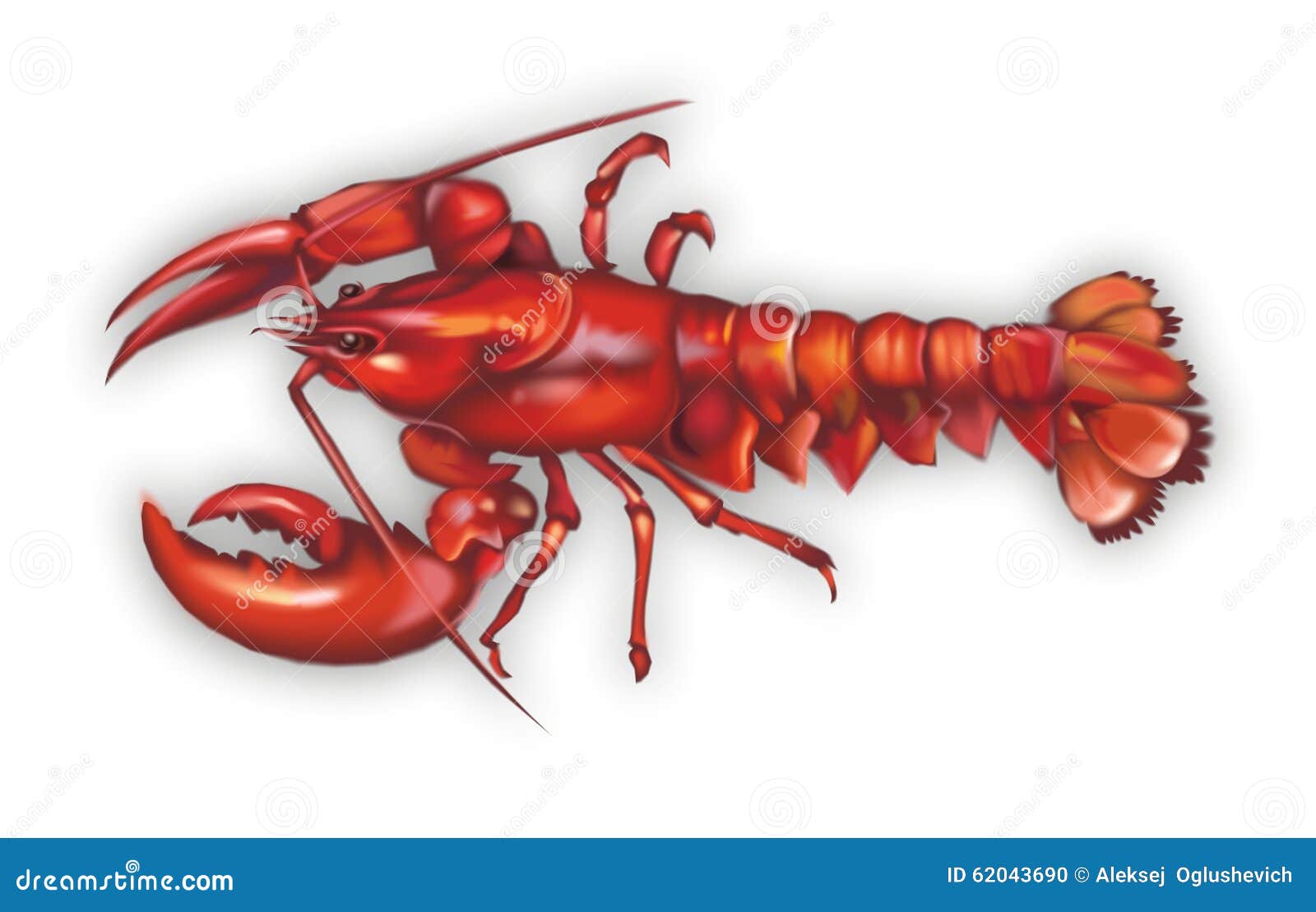 Hummer vektor illustrationer. Illustration av program - 62043690