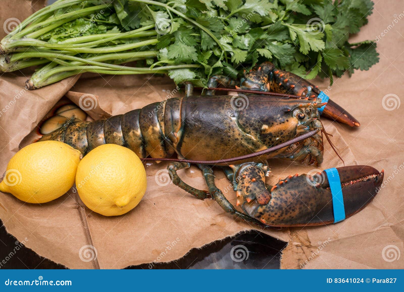 Hummer arkivfoto. Bild av lantligt, hälsa, tappning, citron - 83641024