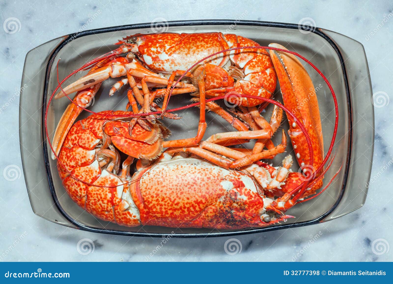 117 Hummer Langust Foton - Gratis och royaltyfria stockfoton från ...