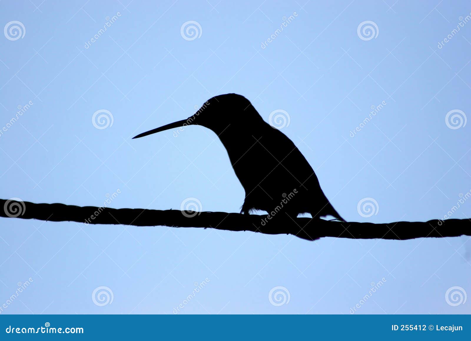 Hummer Silhouette Picture. Image: 255412