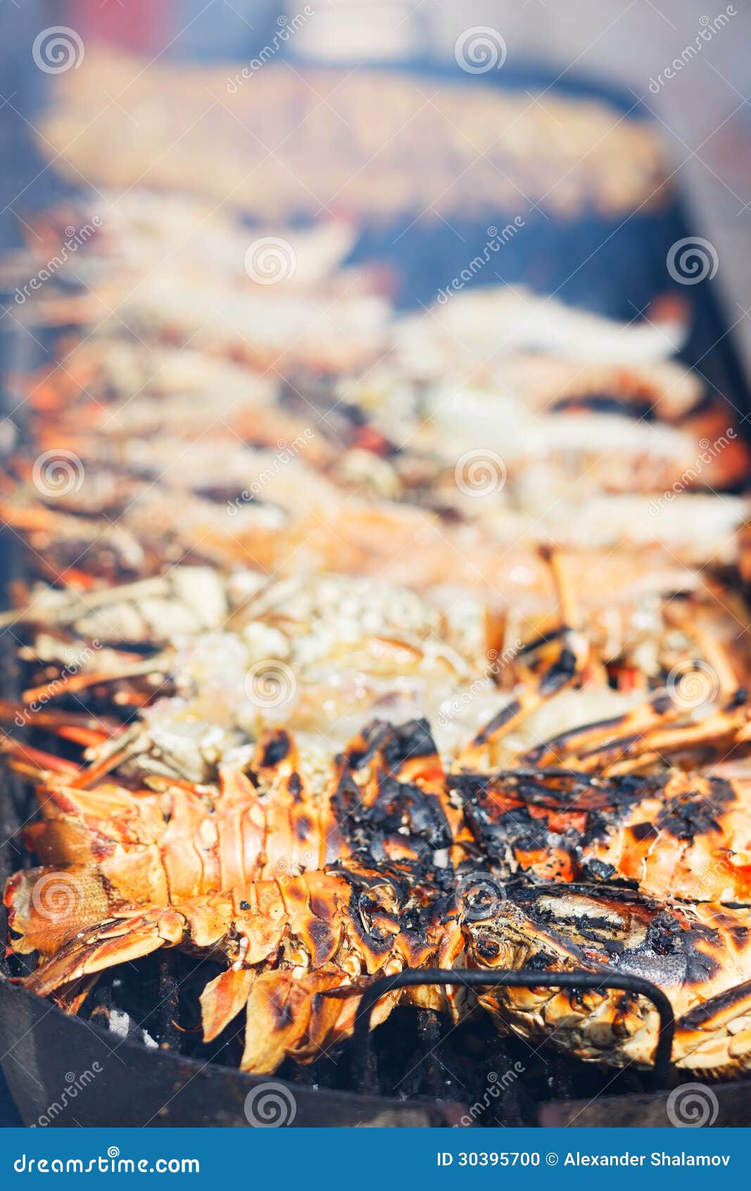 Hummer und Panzerkrebse stockfoto. Bild von mahlzeit - 30395700