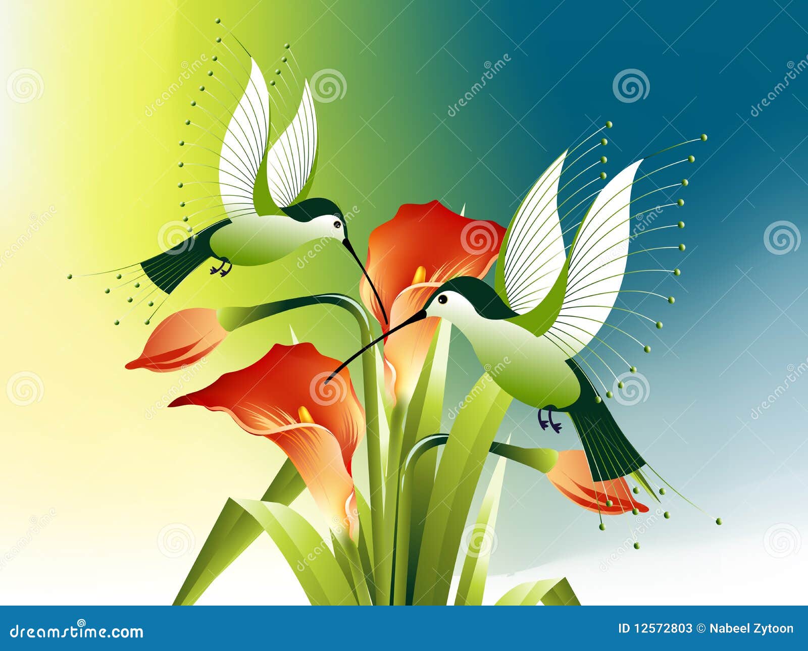 Humming bird and flowers stock vector. Illustration of eating - 12572803