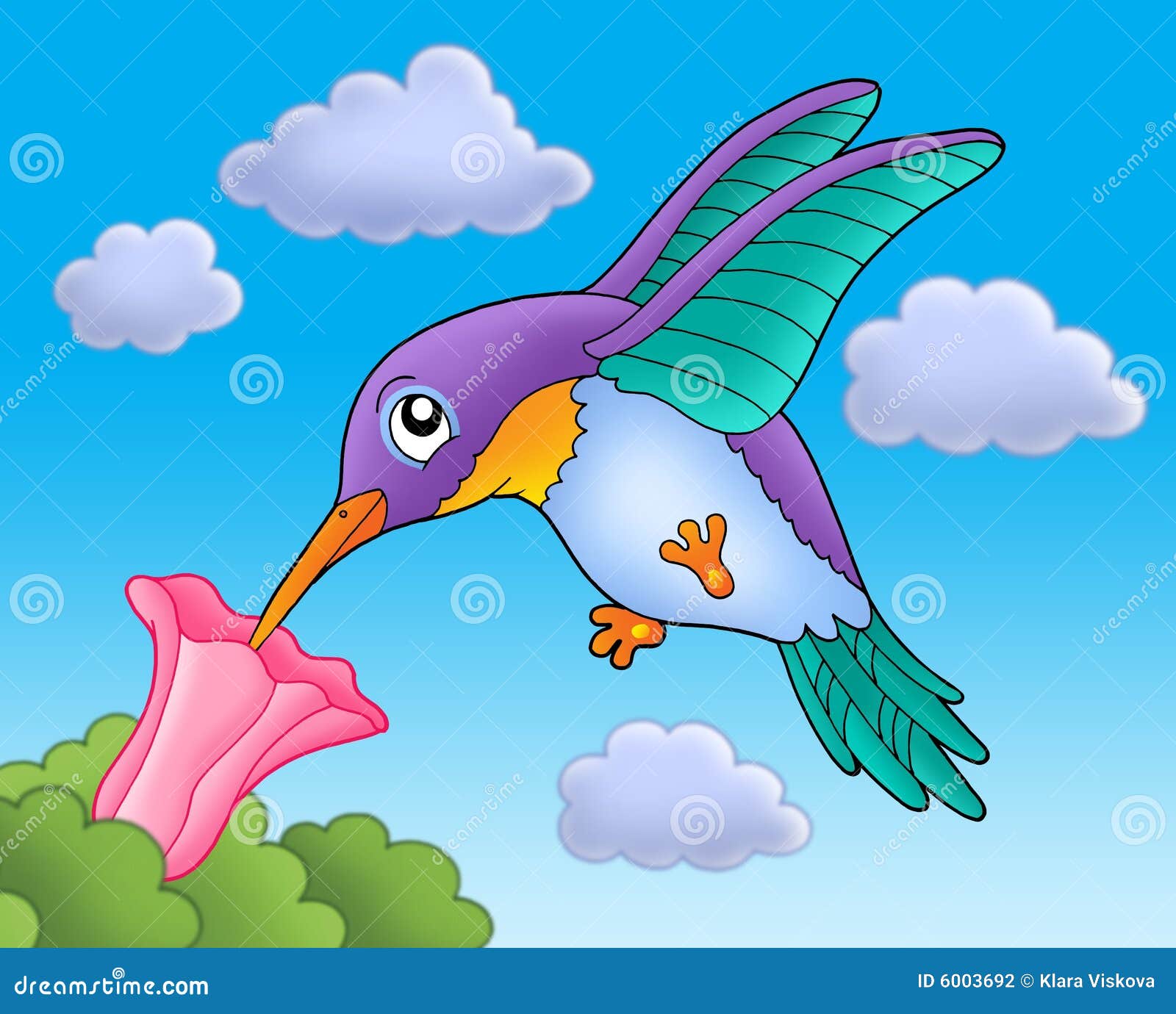 Humming Bird with Pink Flower Stock Illustration - Illustration of ...