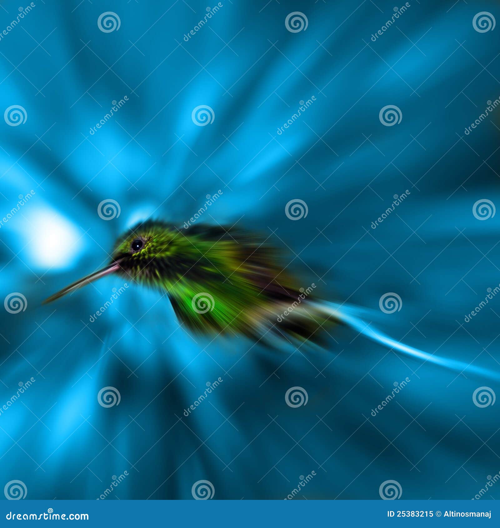 Humming Bird - Zoom Blured - Blue BG Stock Image - Image of twig, still ...