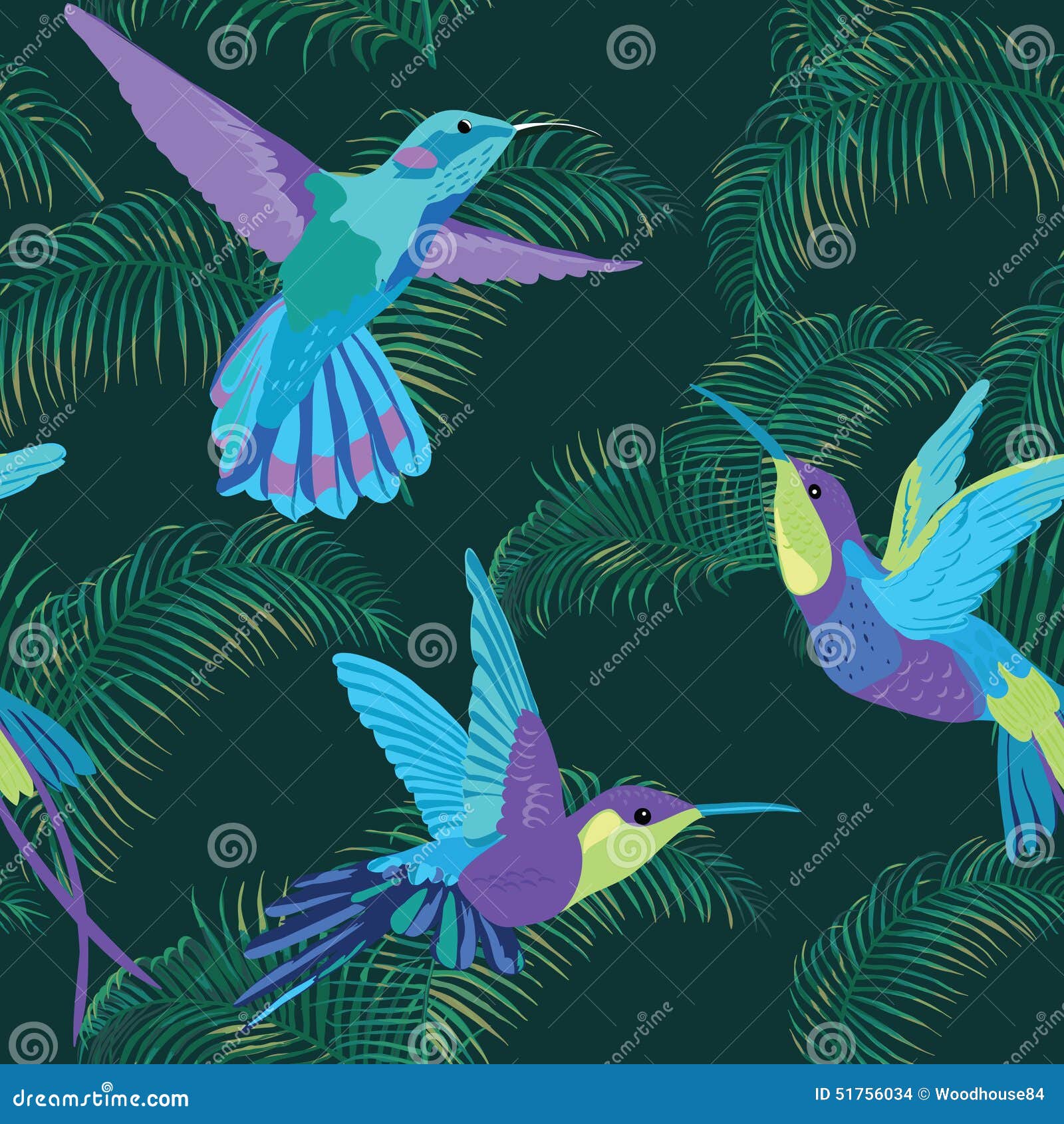 Hummingbird Background stock vector. Illustration of summer - 51756034 Hummingbird Background stock vector. Illustration of summer - 51756034