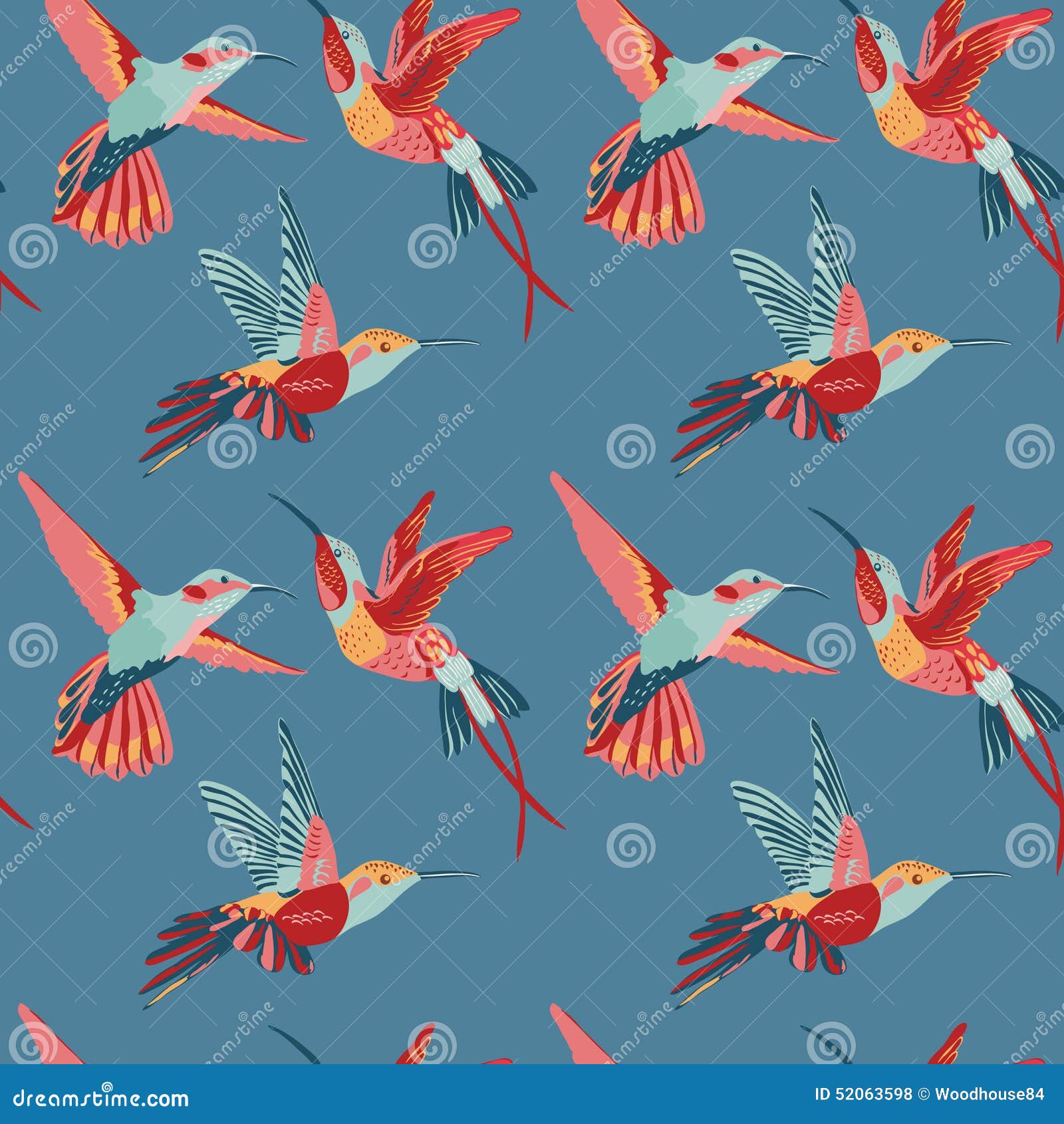 Hummingbird Background stock vector. Illustration of garden - 52063598