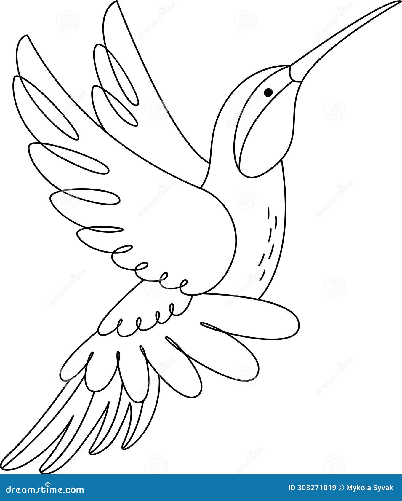 Hummingbird Bird Outline stock vector. Illustration of drawing - 303271019