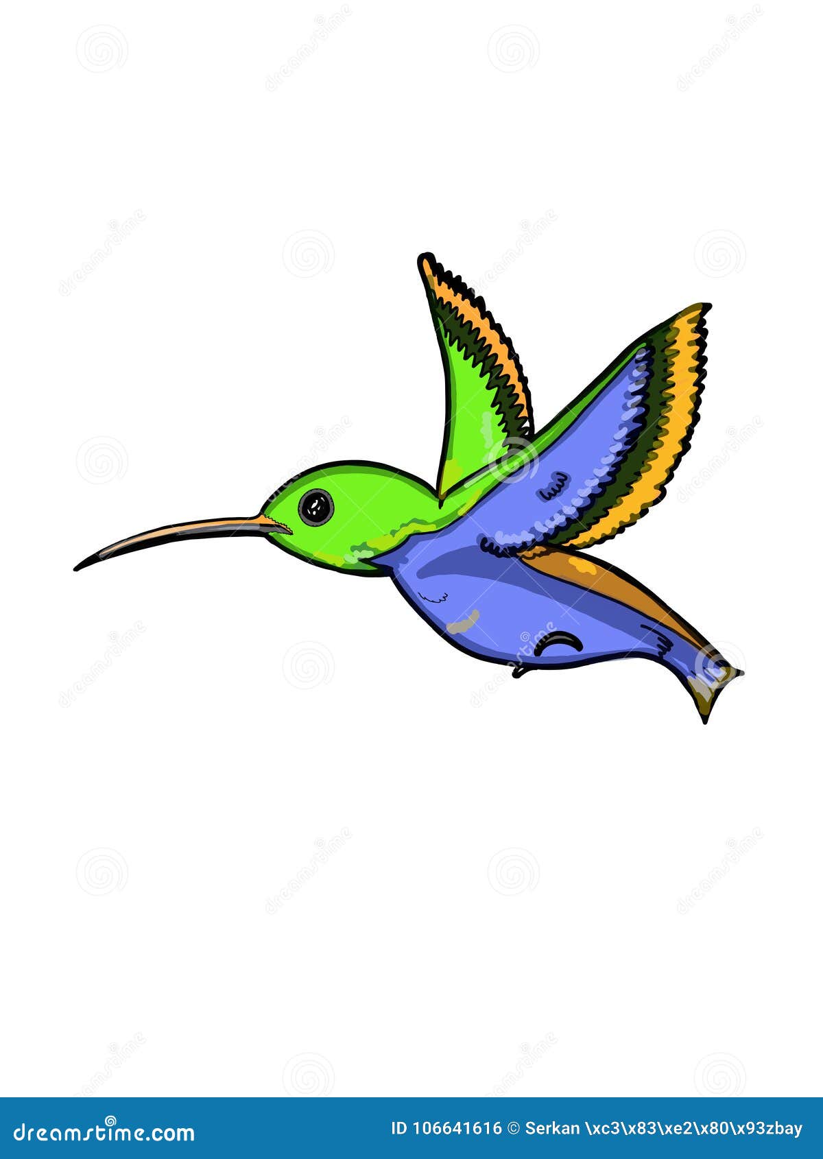Hummingbird Cartoon Illustration Drawing Pattern White Background ...