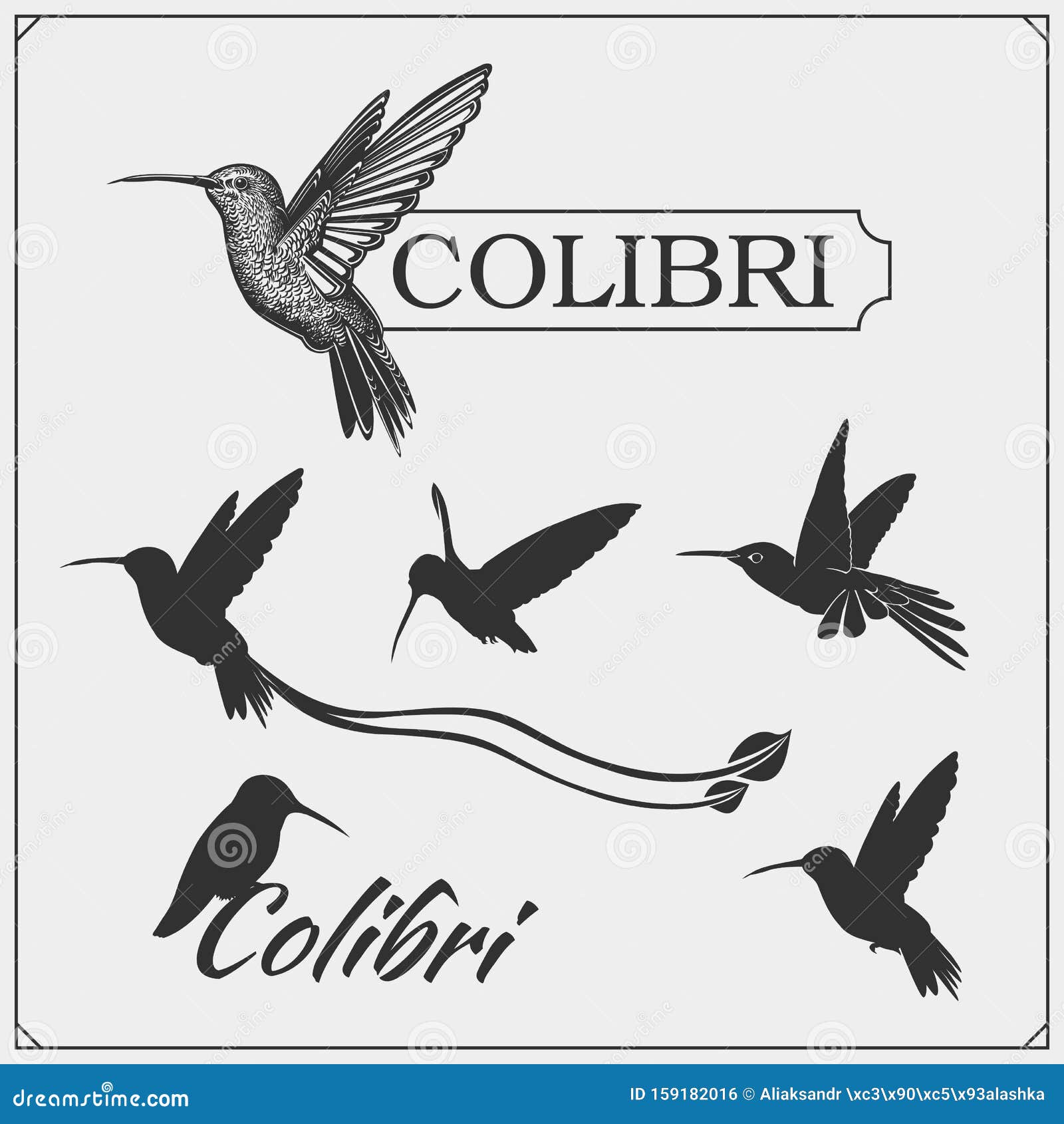 Hummingbird Colibri Bird Silhouettes, Logos, Emblems And Design ...
