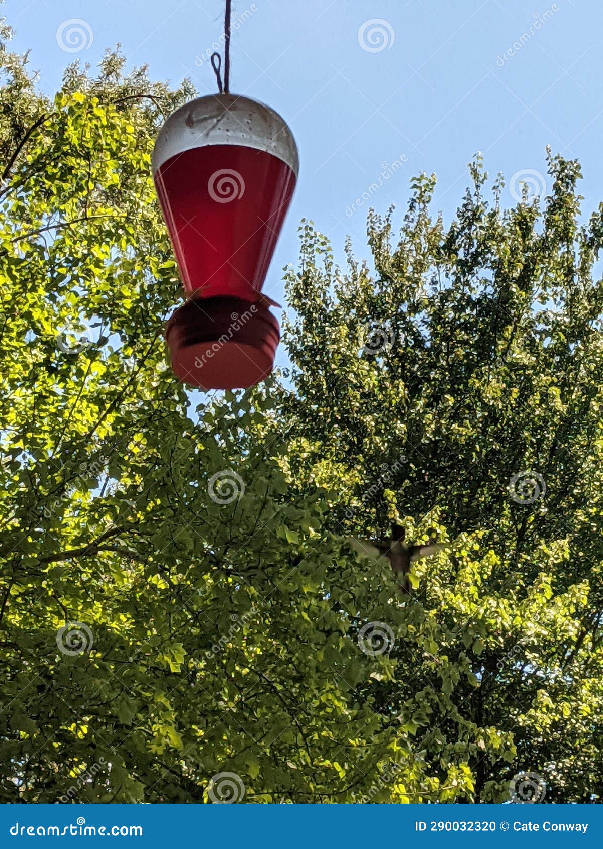 Hummingbird Feeder with Red Nectar Stock Photo - Image of nectar ...
