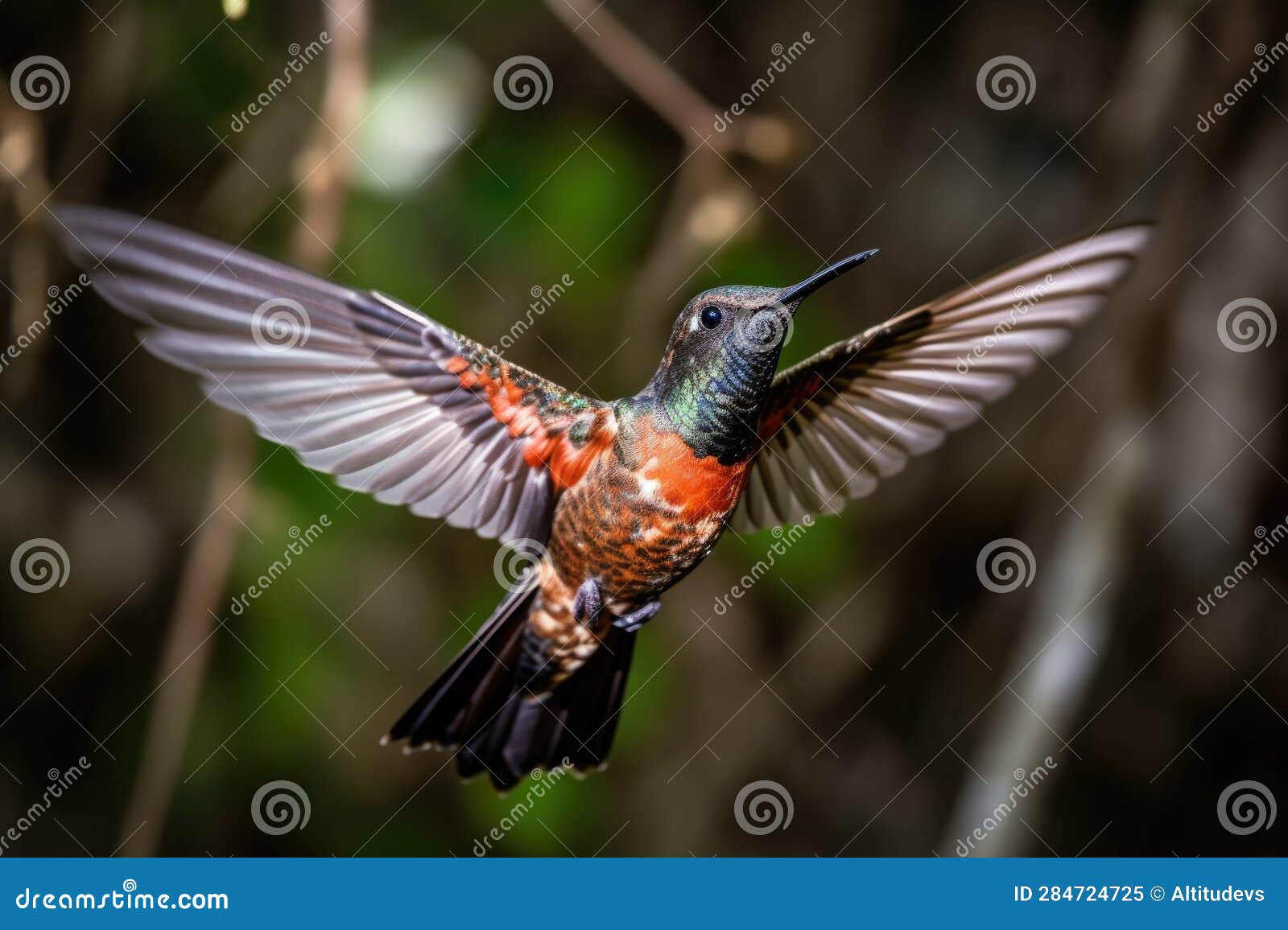 Fluttering Feathers: A Peek Into The Birdhouse - A Fire In A Circle ...