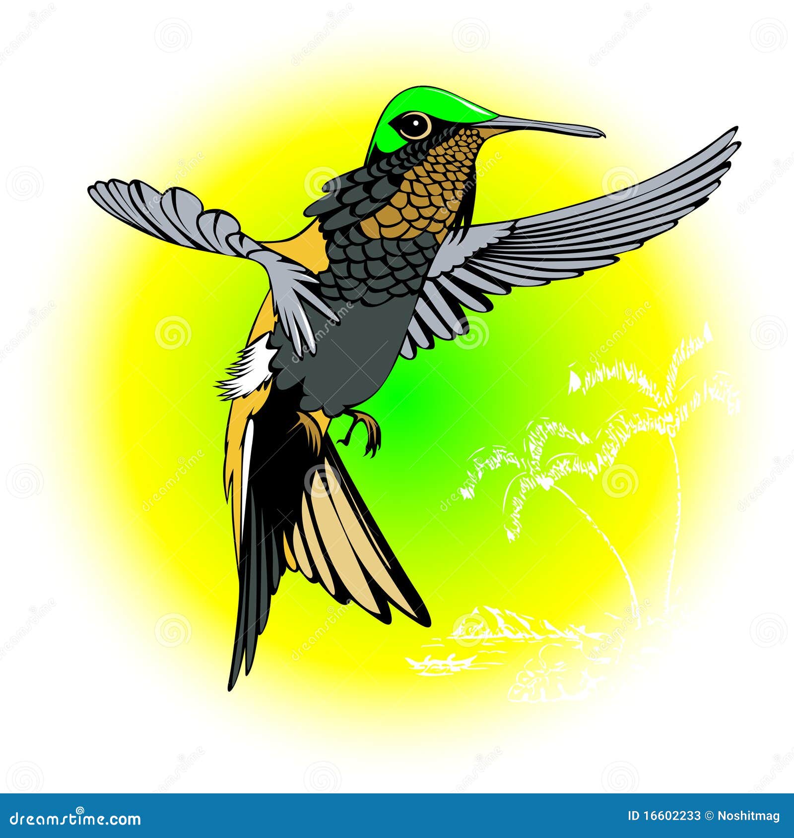 Hummingbird fly stock vector. Illustration of curve, concepts - 16602233