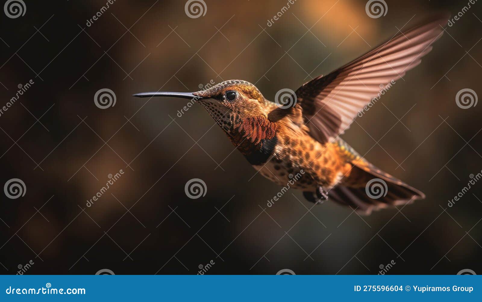 Hummingbird Hovering Mid Air, Spreading Iridescent Wings Generated by ...